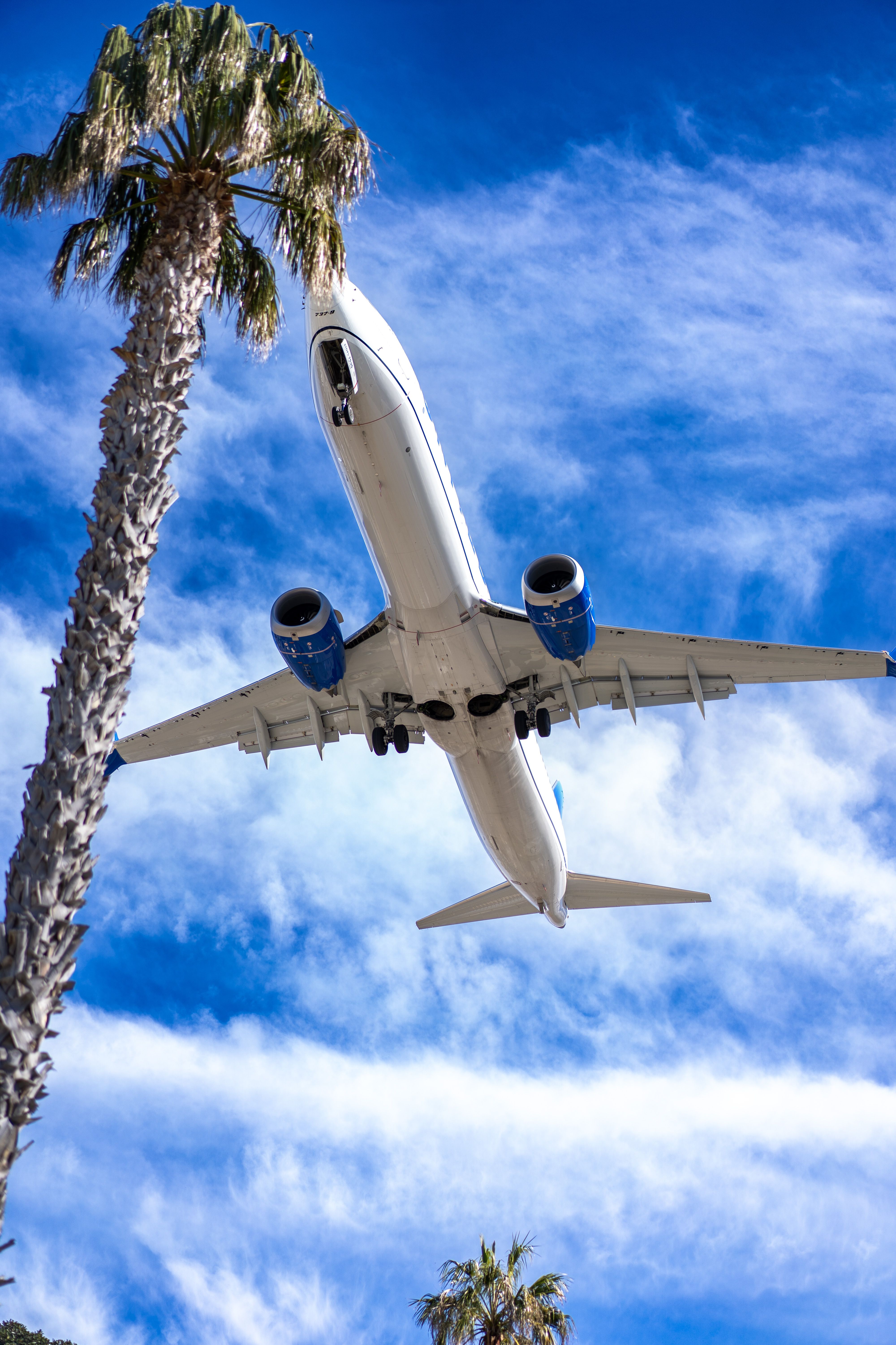 An Airplane Flying · Free Stock Photo
