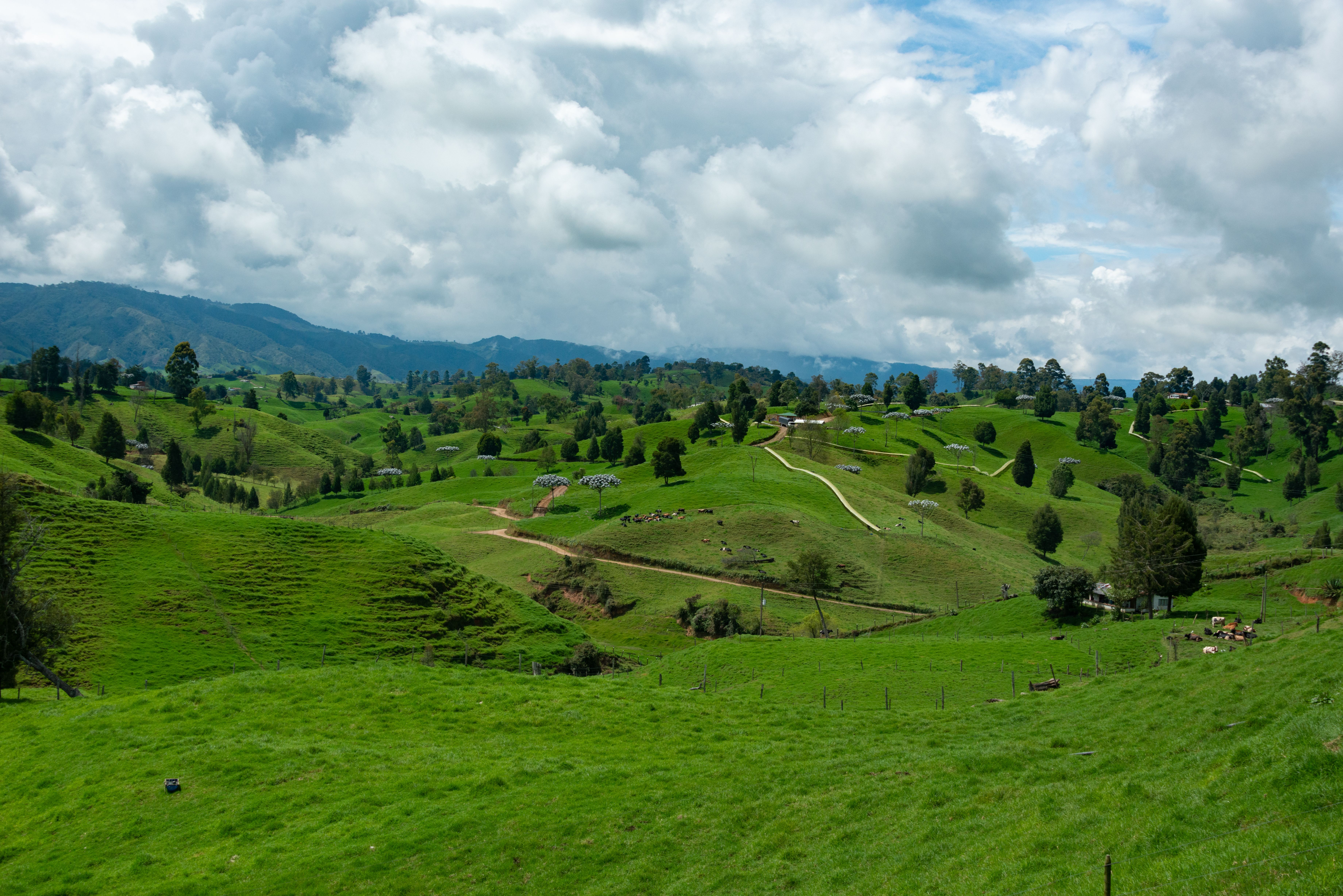 Lush Green Rolling Landscape · Free Stock Photo