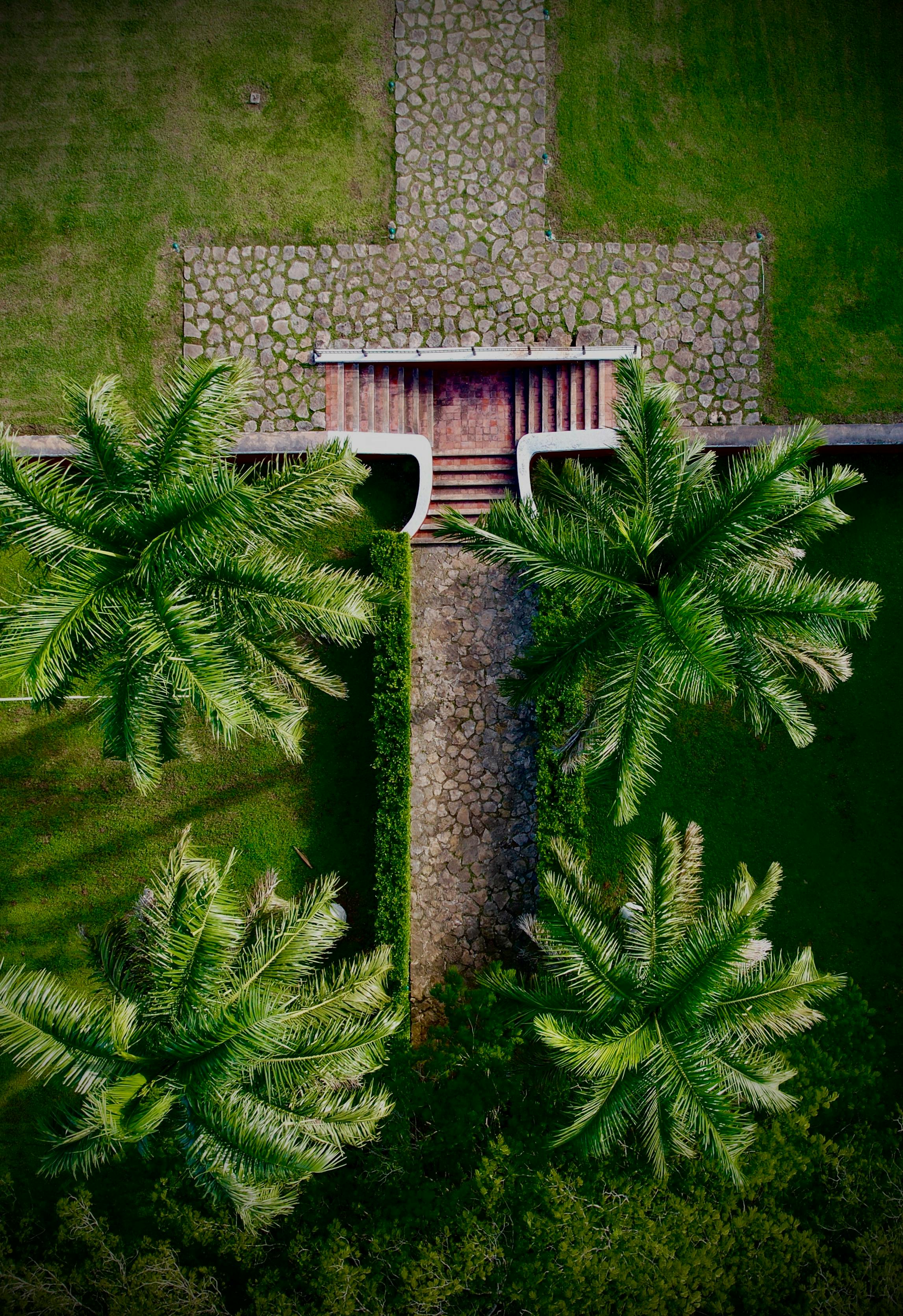 Garden Of Forking Paths Photos, Download The BEST Free Garden Of ...