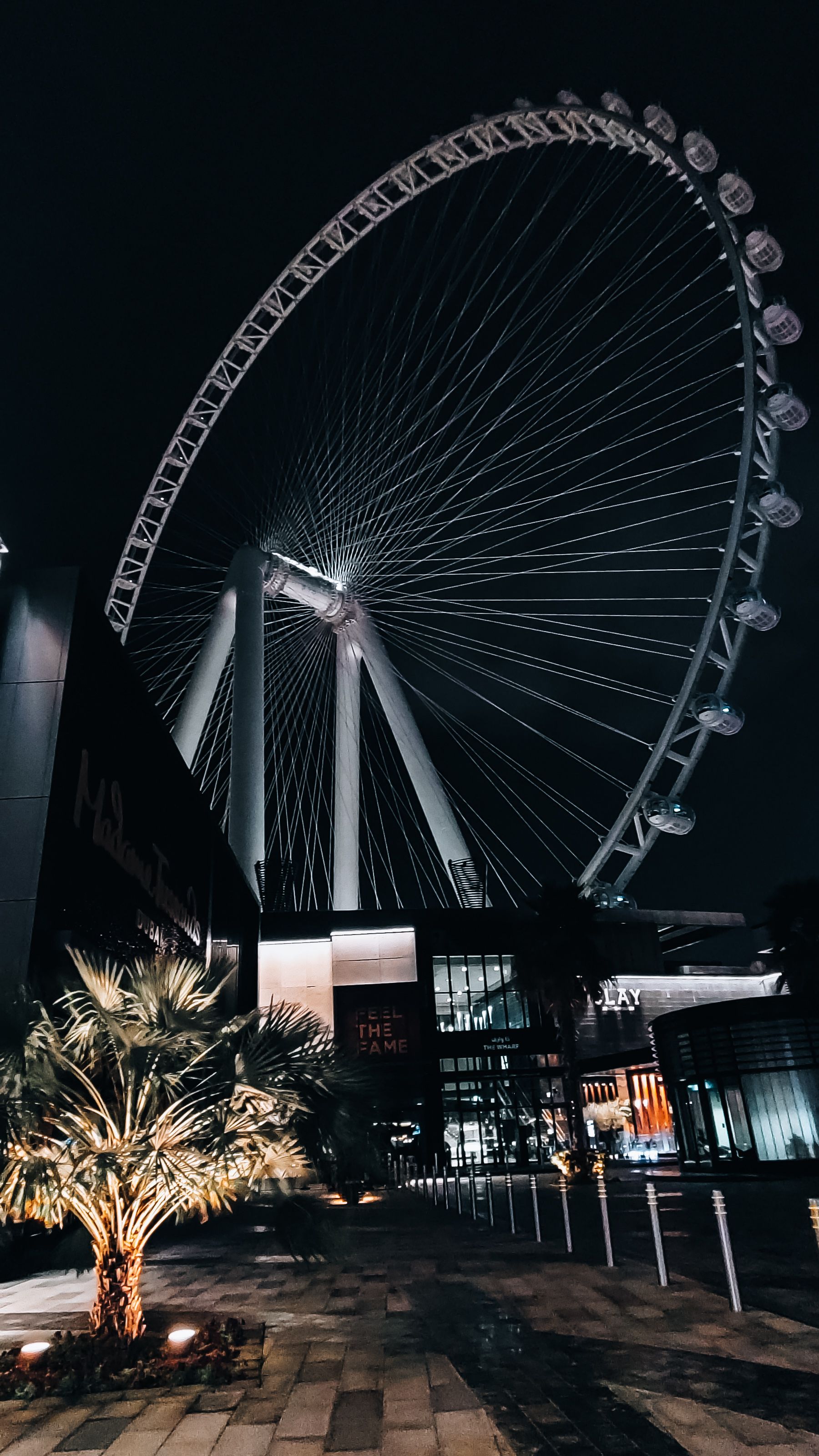 Milan Mathew - 写真