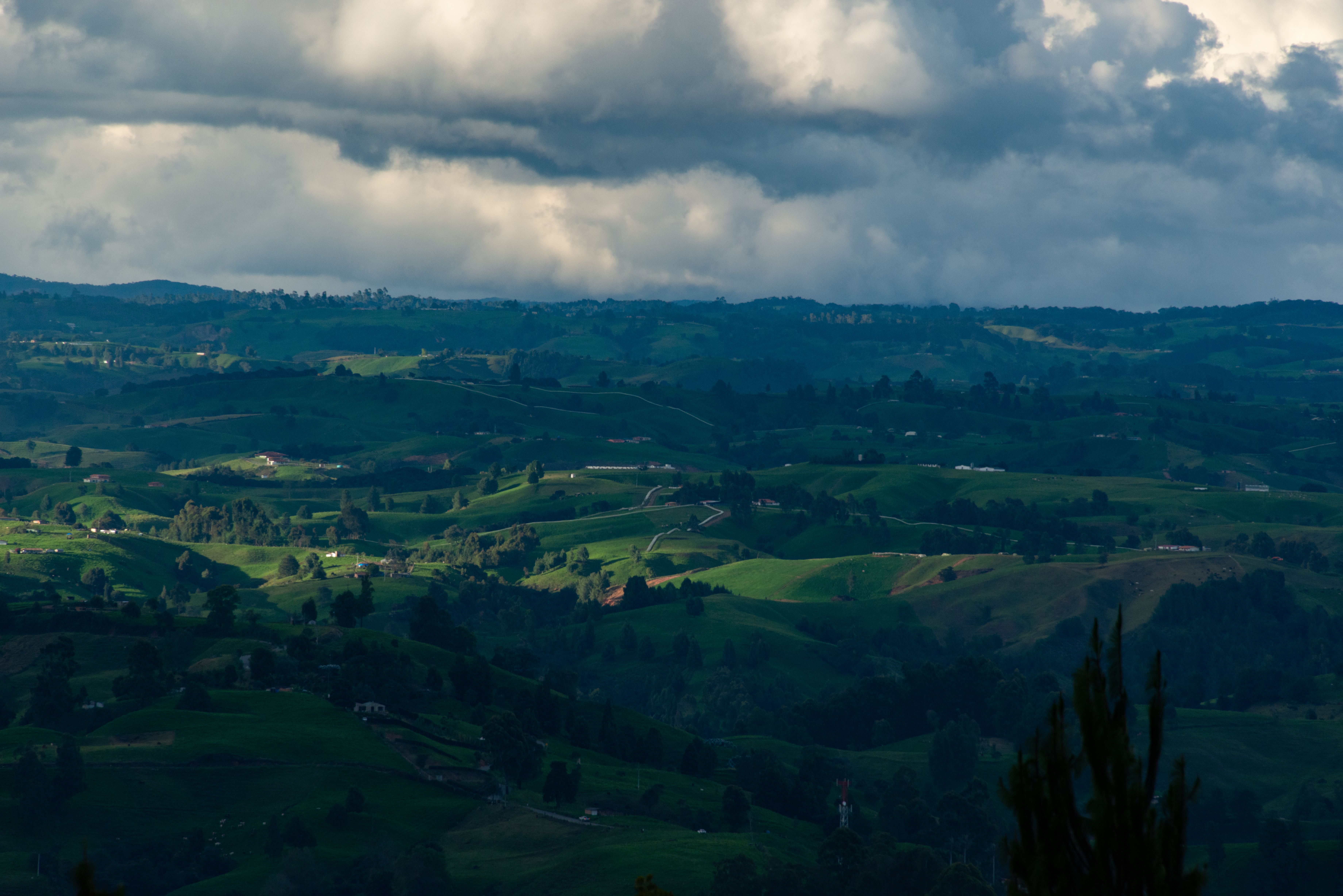 Foto de stock gratuita sobre agricultura, aire fresco, al aire libre ...