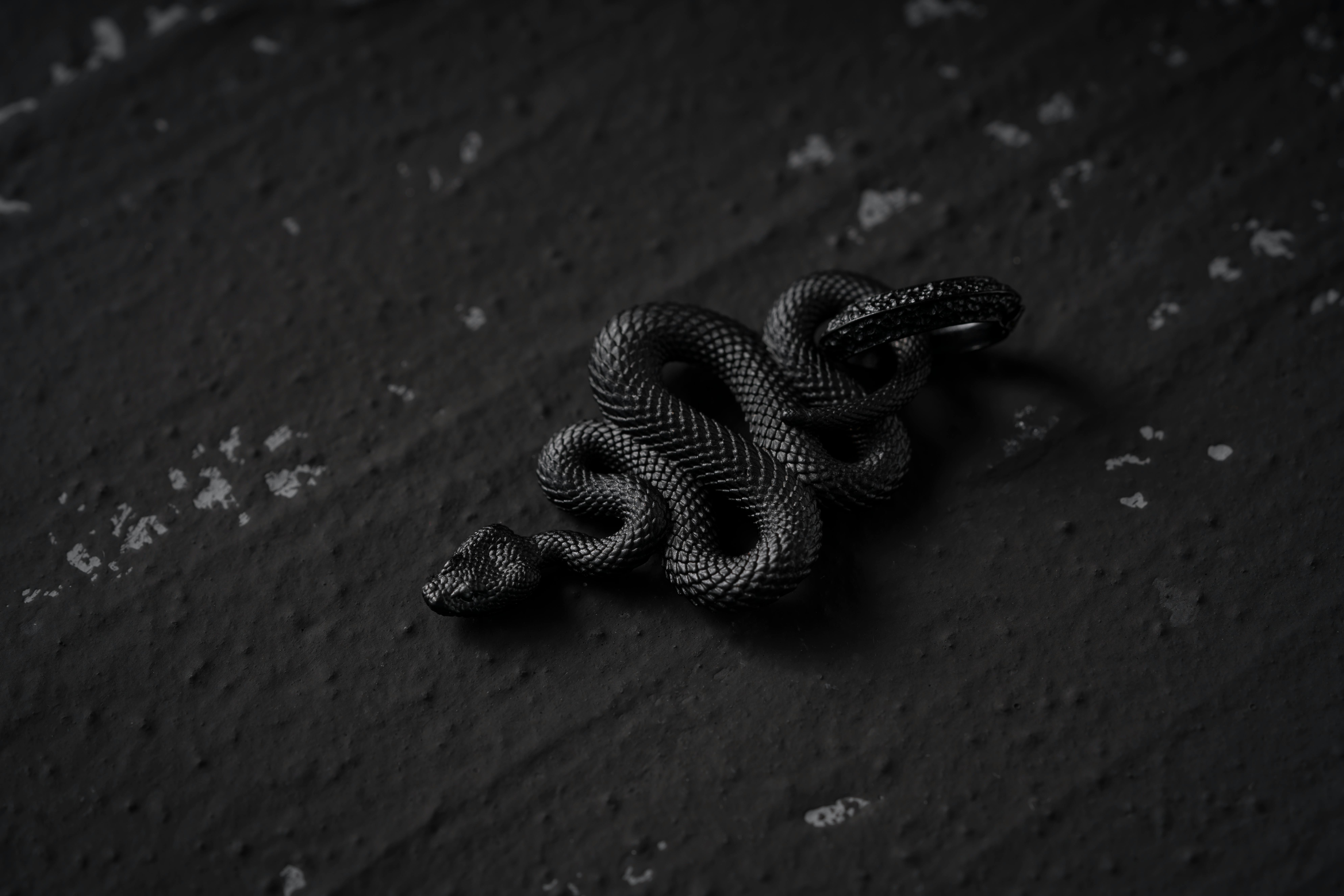 Black Snake Wallpaper