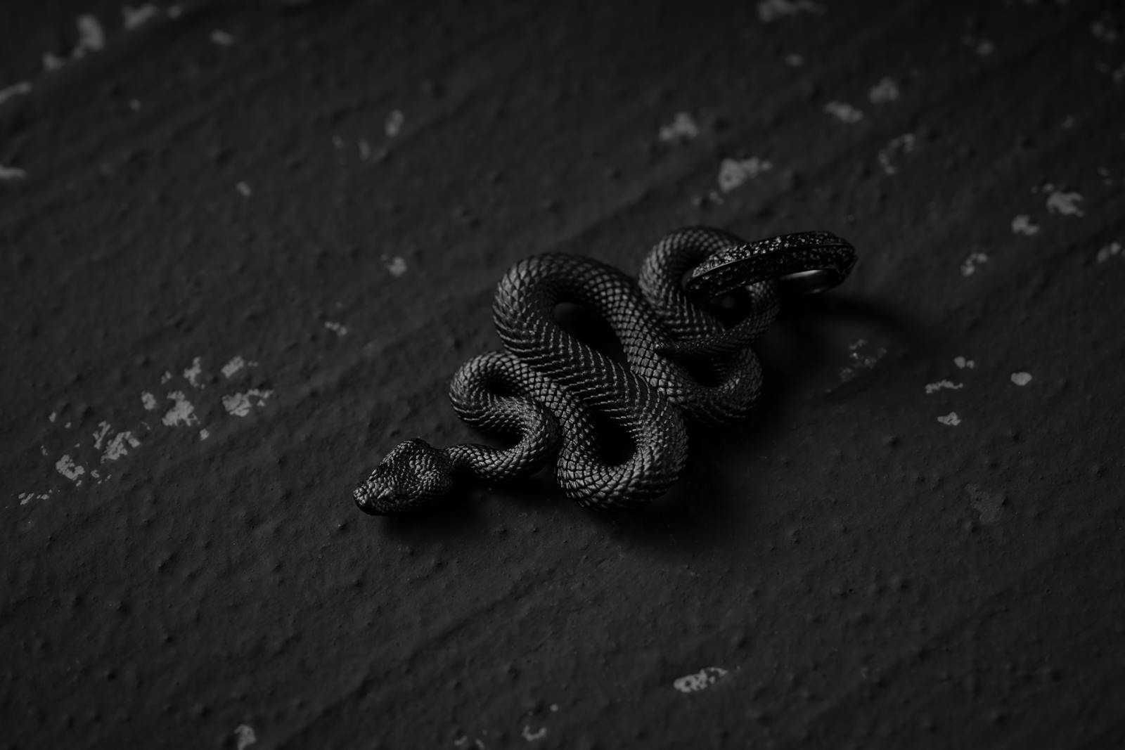 Black Snake Photos, Download The BEST Free Black Snake Stock Photos ...