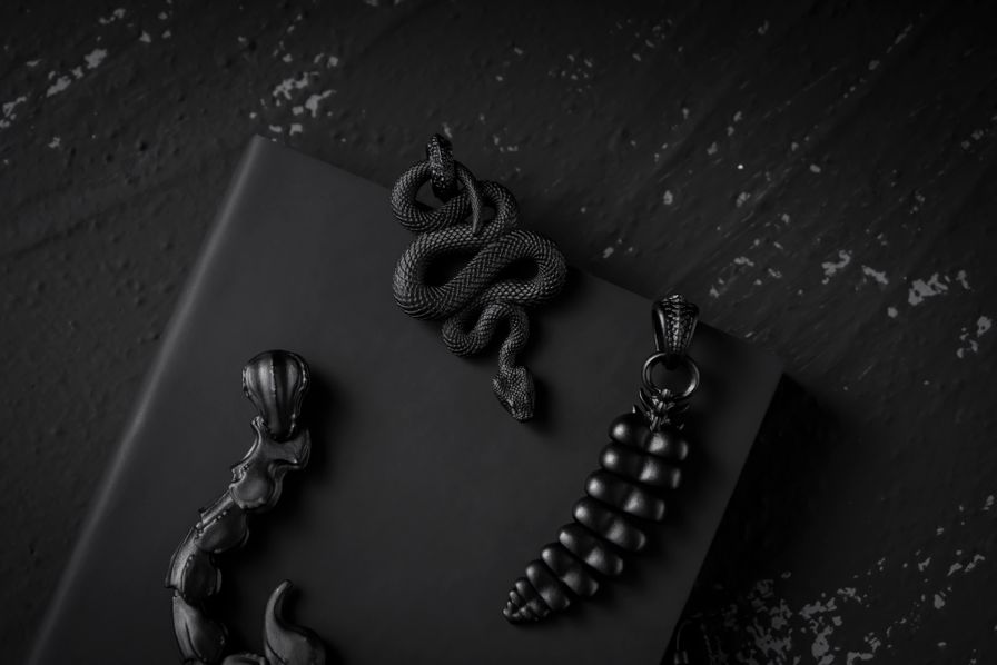 Black Snakes in North America: Types and Their Role