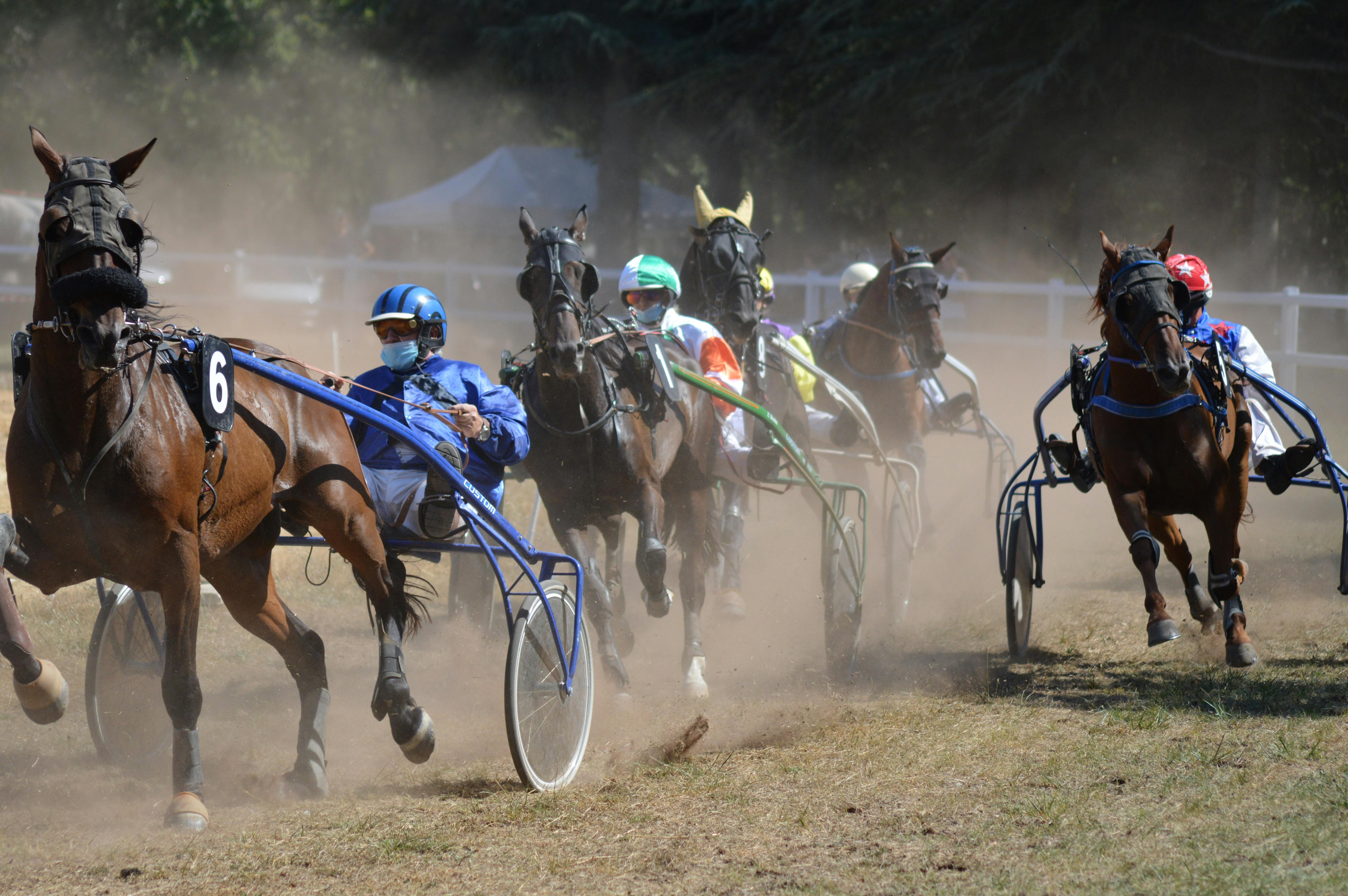 Animated Racing Photos, Download The BEST Free Animated Racing Stock ...