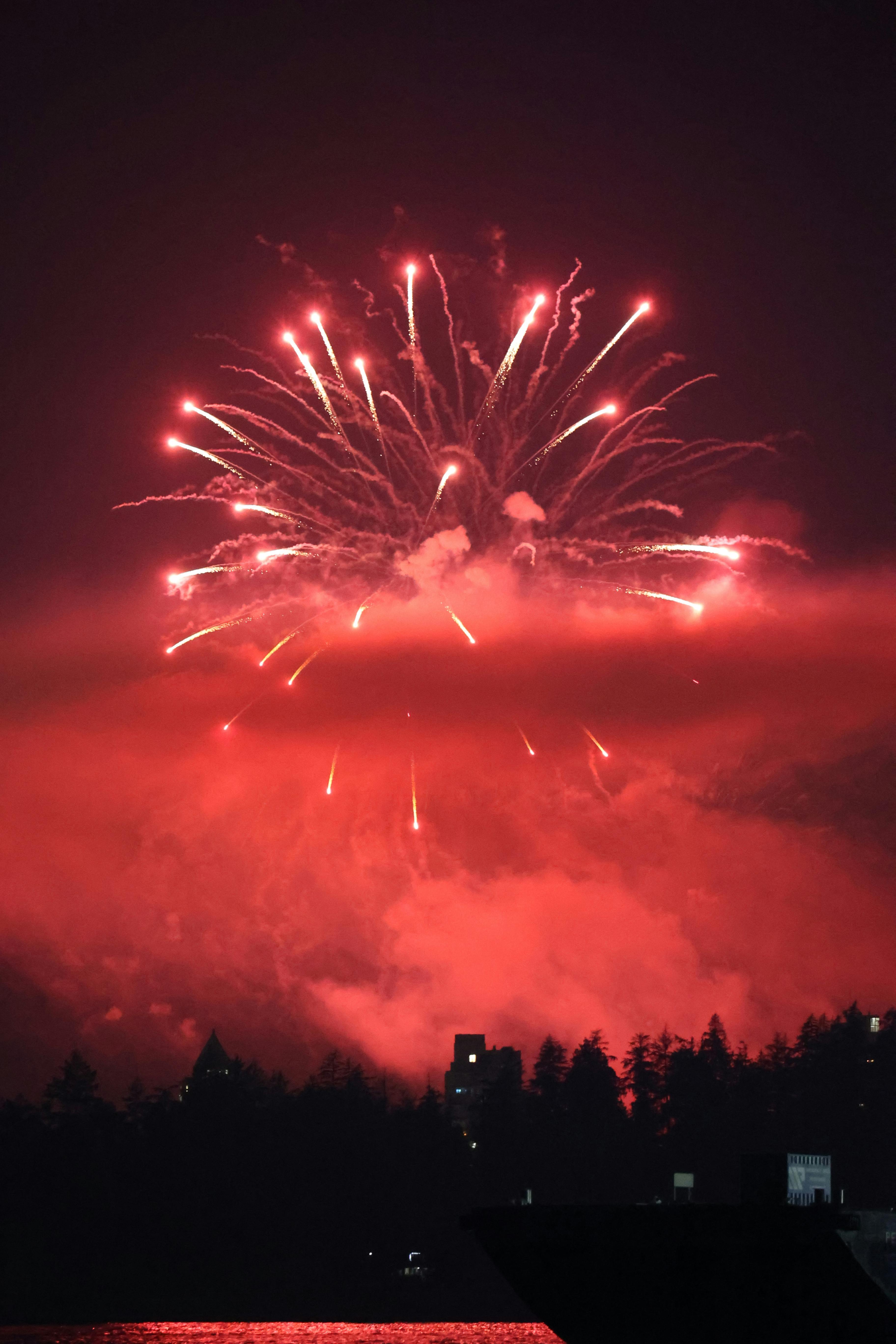 Firework In Forest Photos, Download The BEST Free Firework In Forest ...