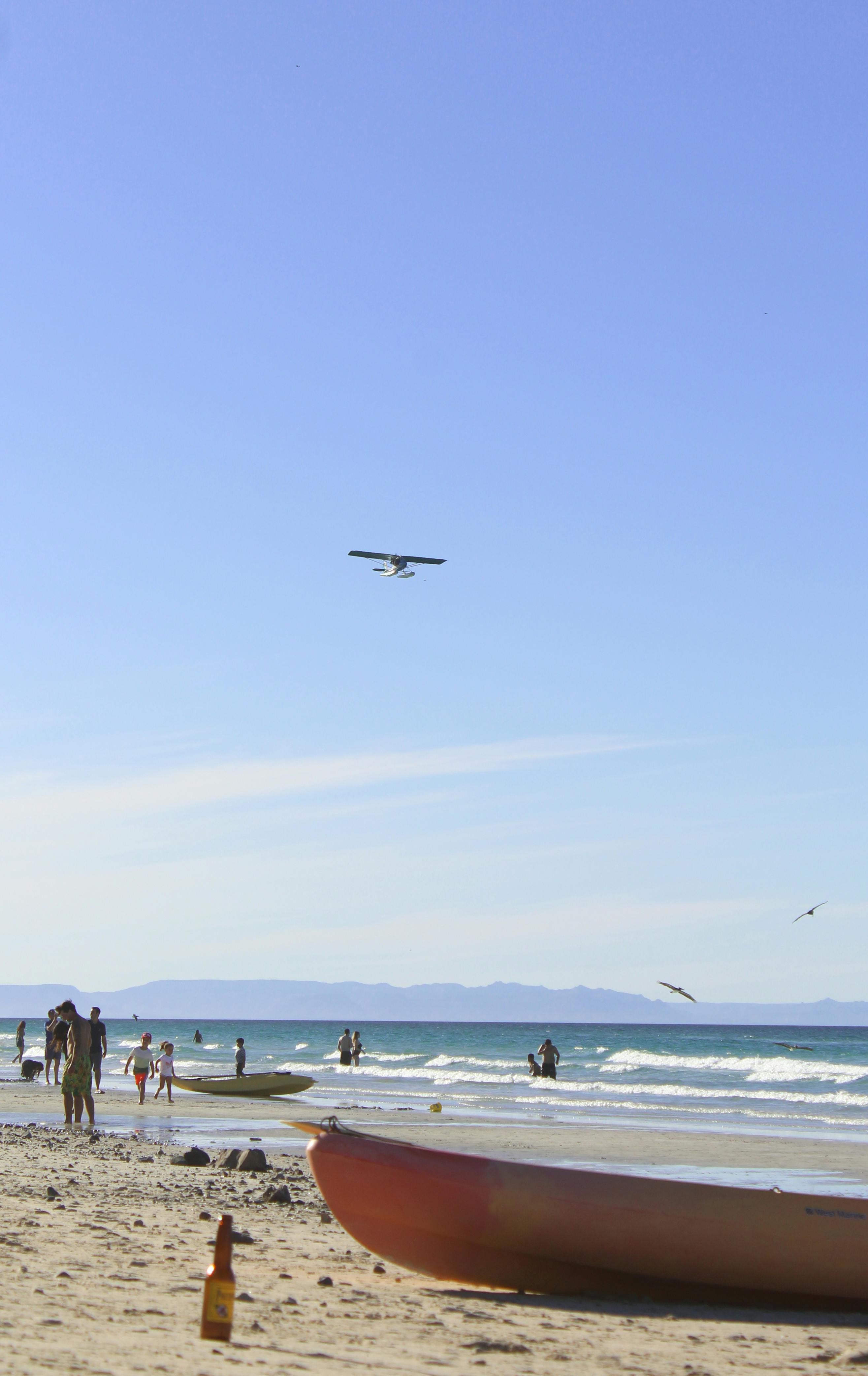 Airplane Flying over the Beach · Free Stock Photo