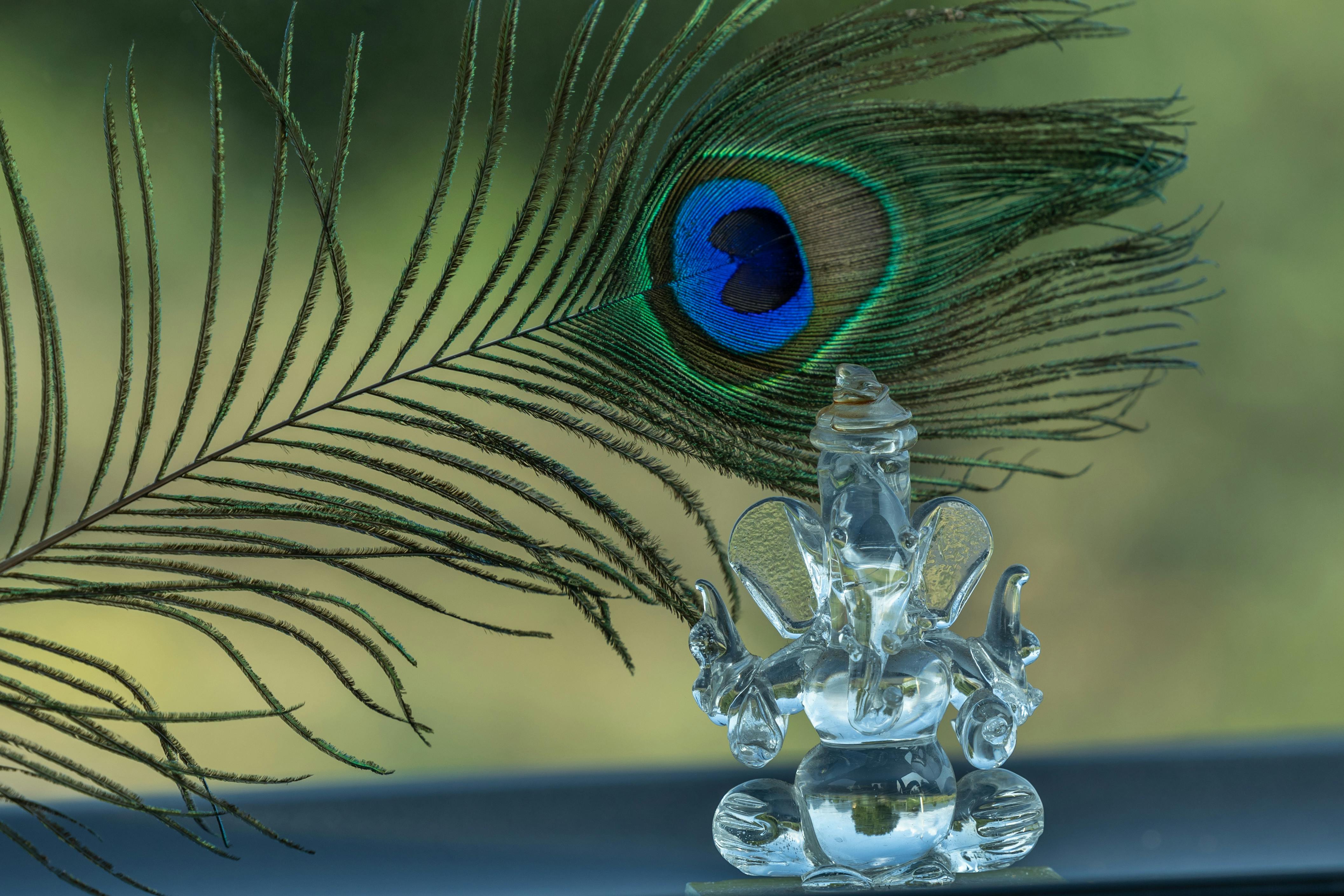 Transparency Icon Photos, Download The BEST Free Transparency Icon ...