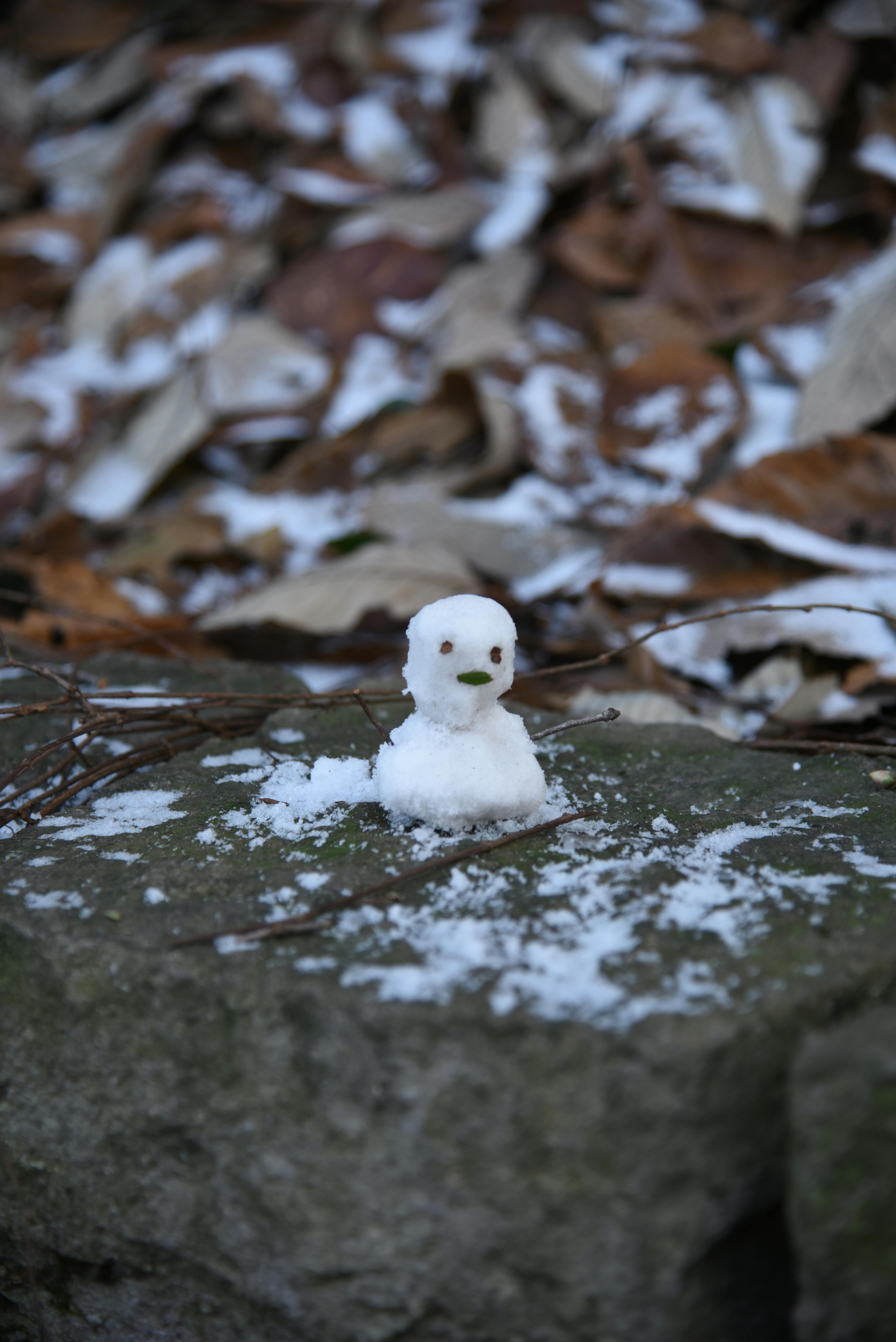 Close-up of a Tiny Snowman on a Rock · Free Stock Photo