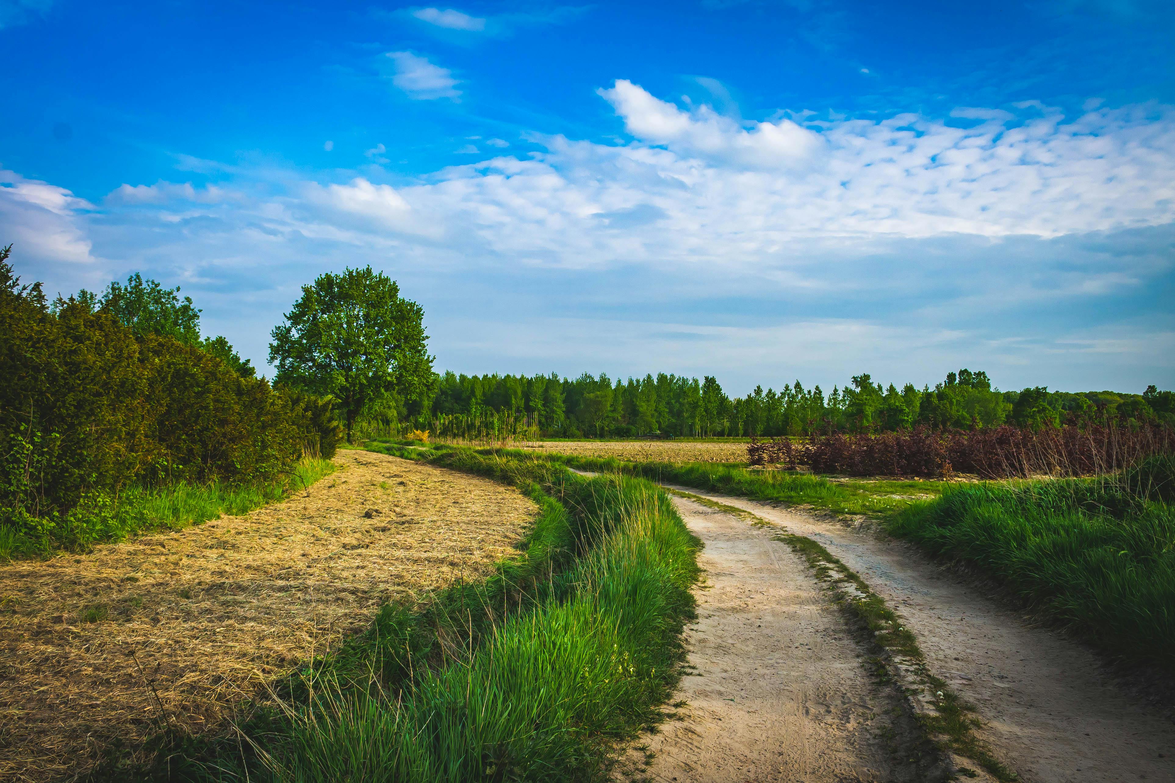 Secret Pathway Photos, Download The BEST Free Secret Pathway Stock ...