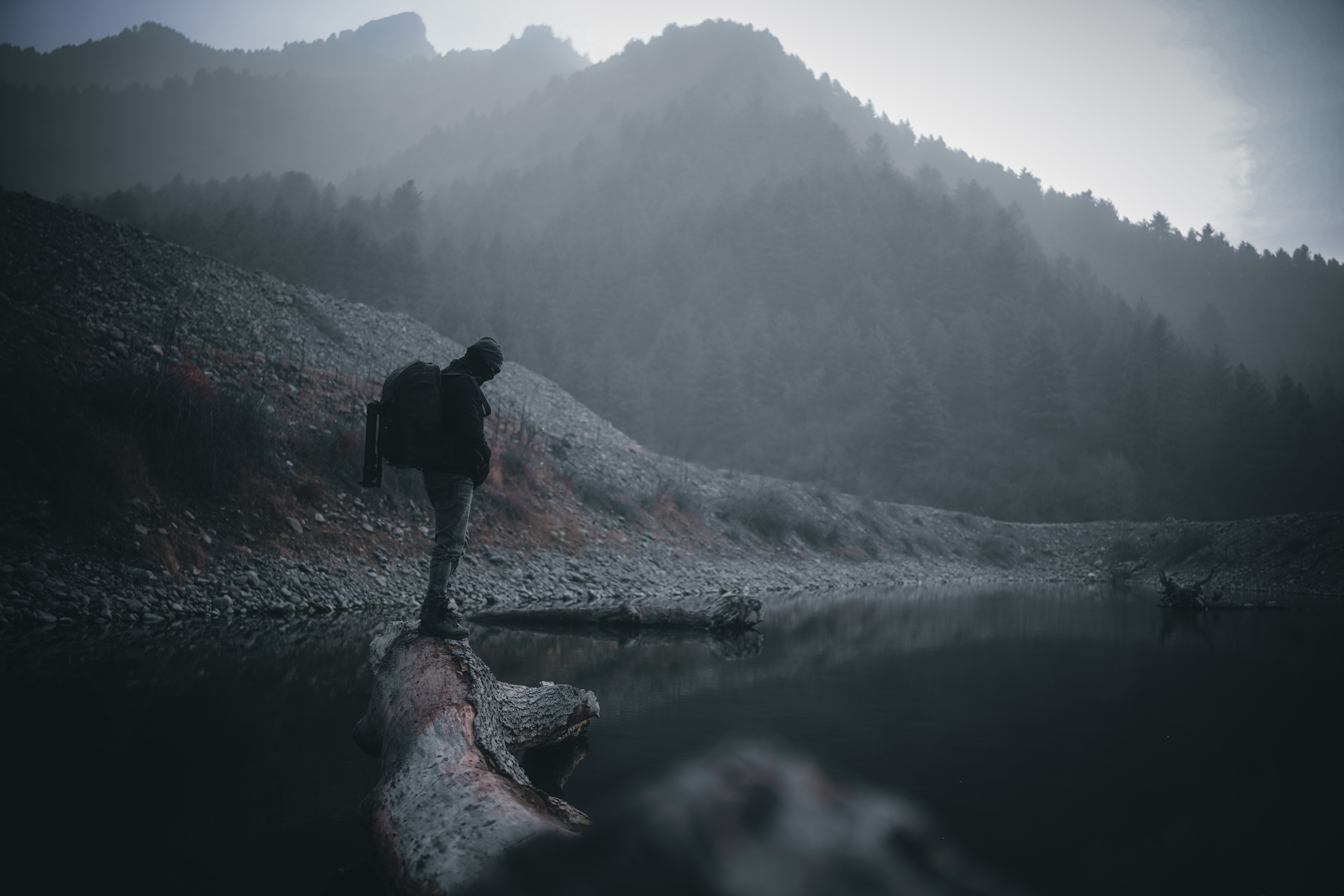 A Man Standing on Wood Log · Free Stock Photo