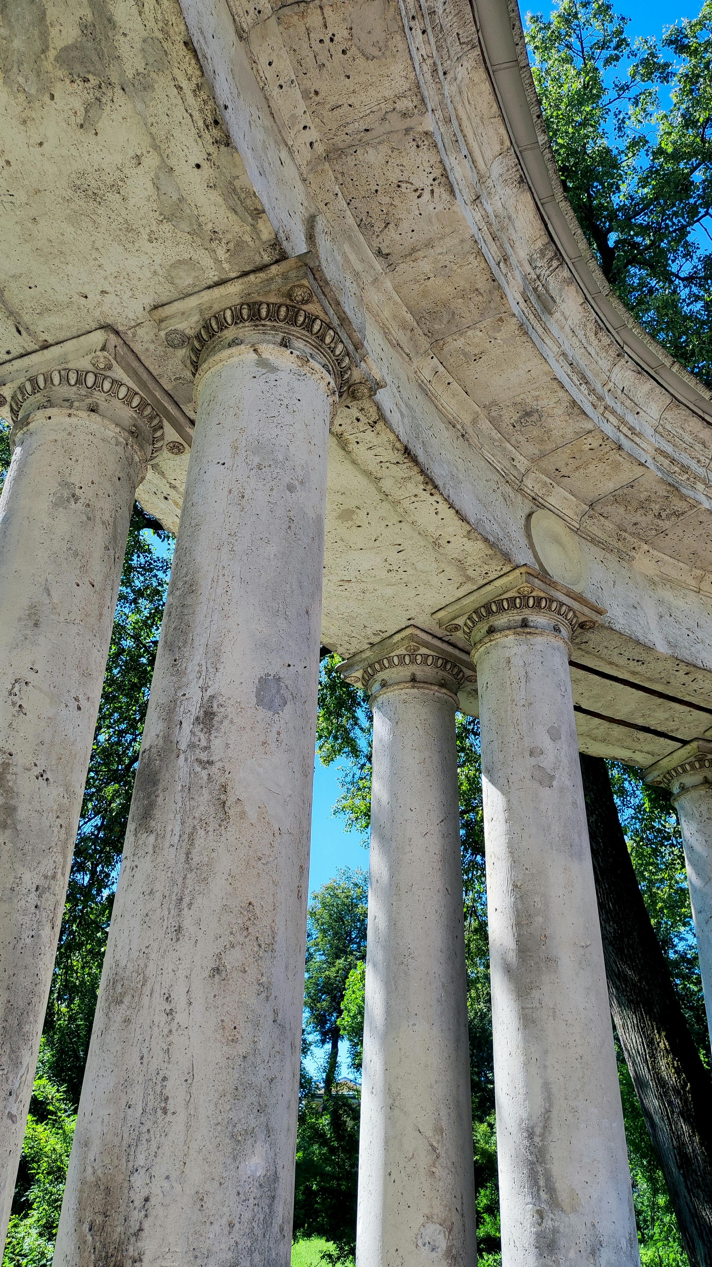 Foto de stock gratuita sobre arboles, arquitectura neoclásica, columnas ...