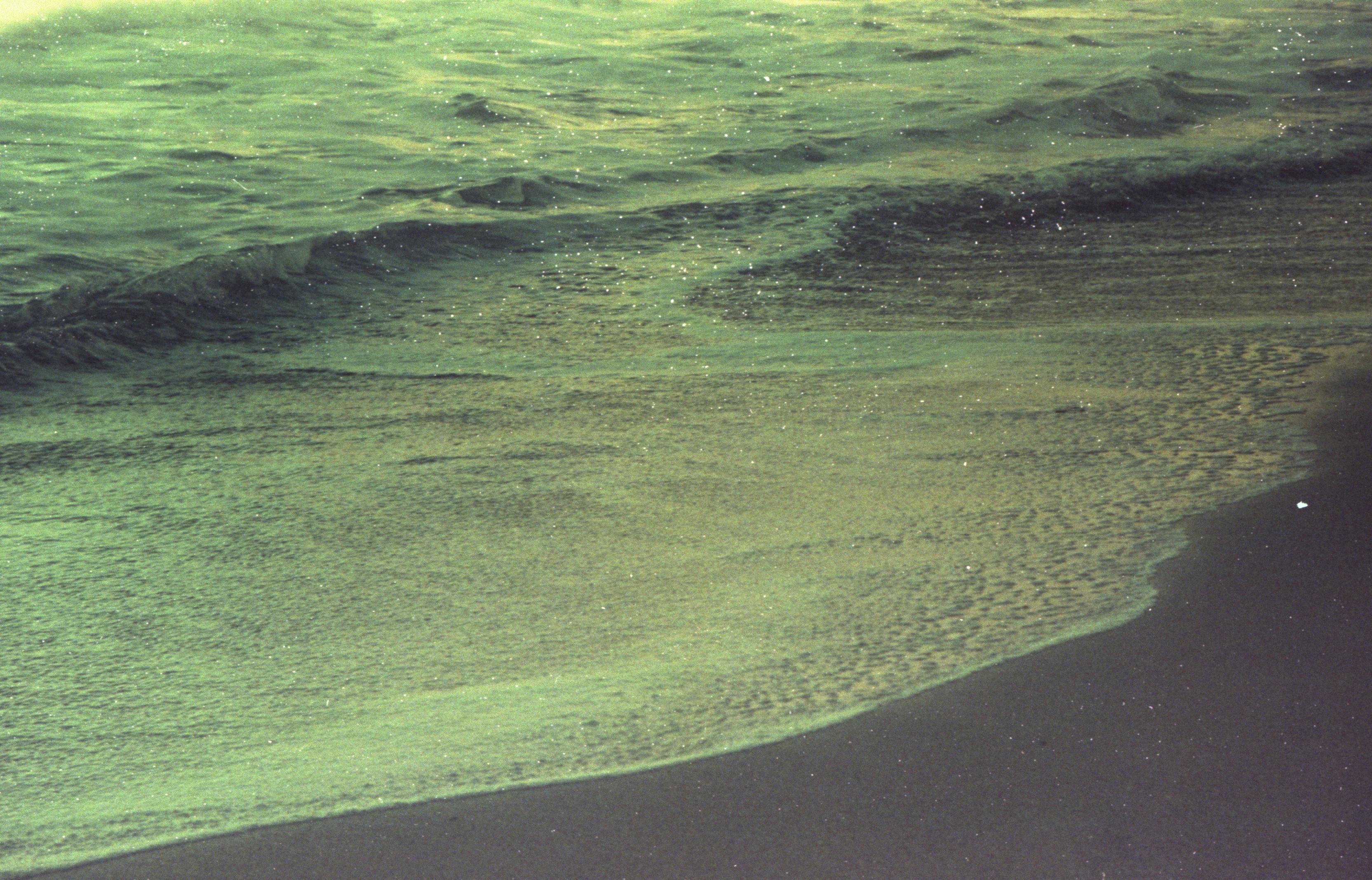 Green Sea Wave on the Beach · Free Stock Photo
