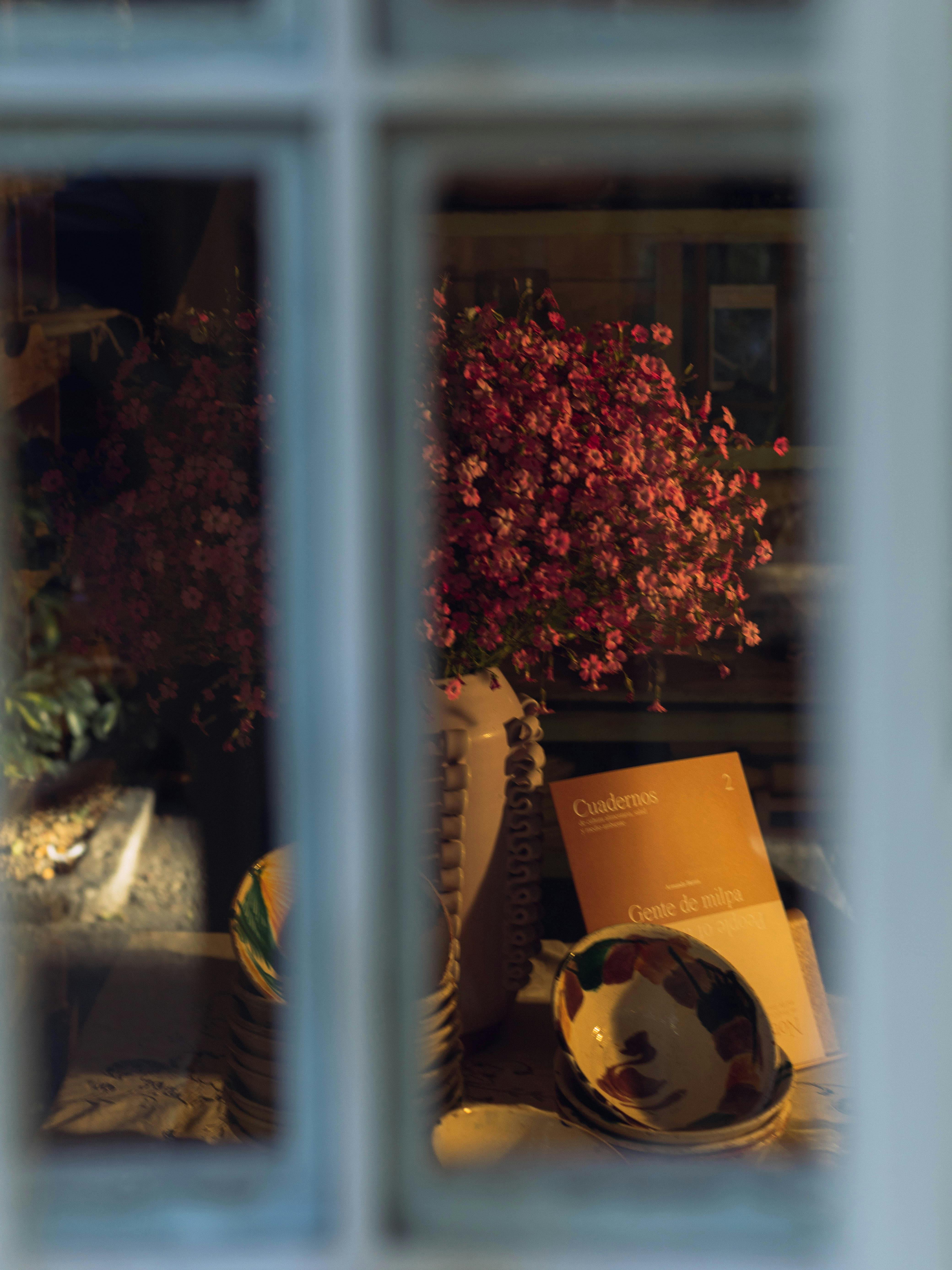 Overloaded Book Photos, Download The BEST Free Overloaded Book Stock ...