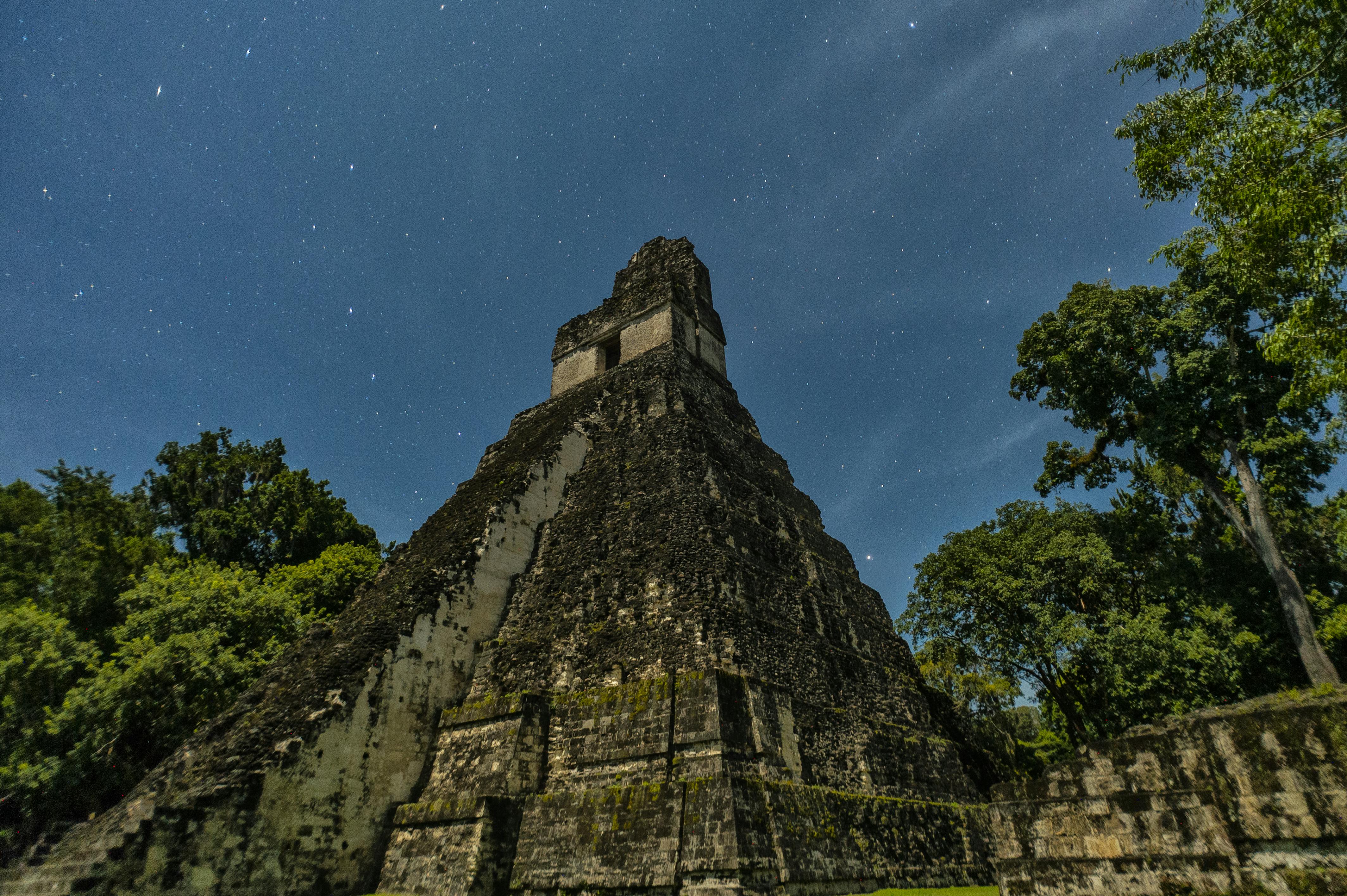 Tikal Photos, Download The BEST Free Tikal Stock Photos & HD Images