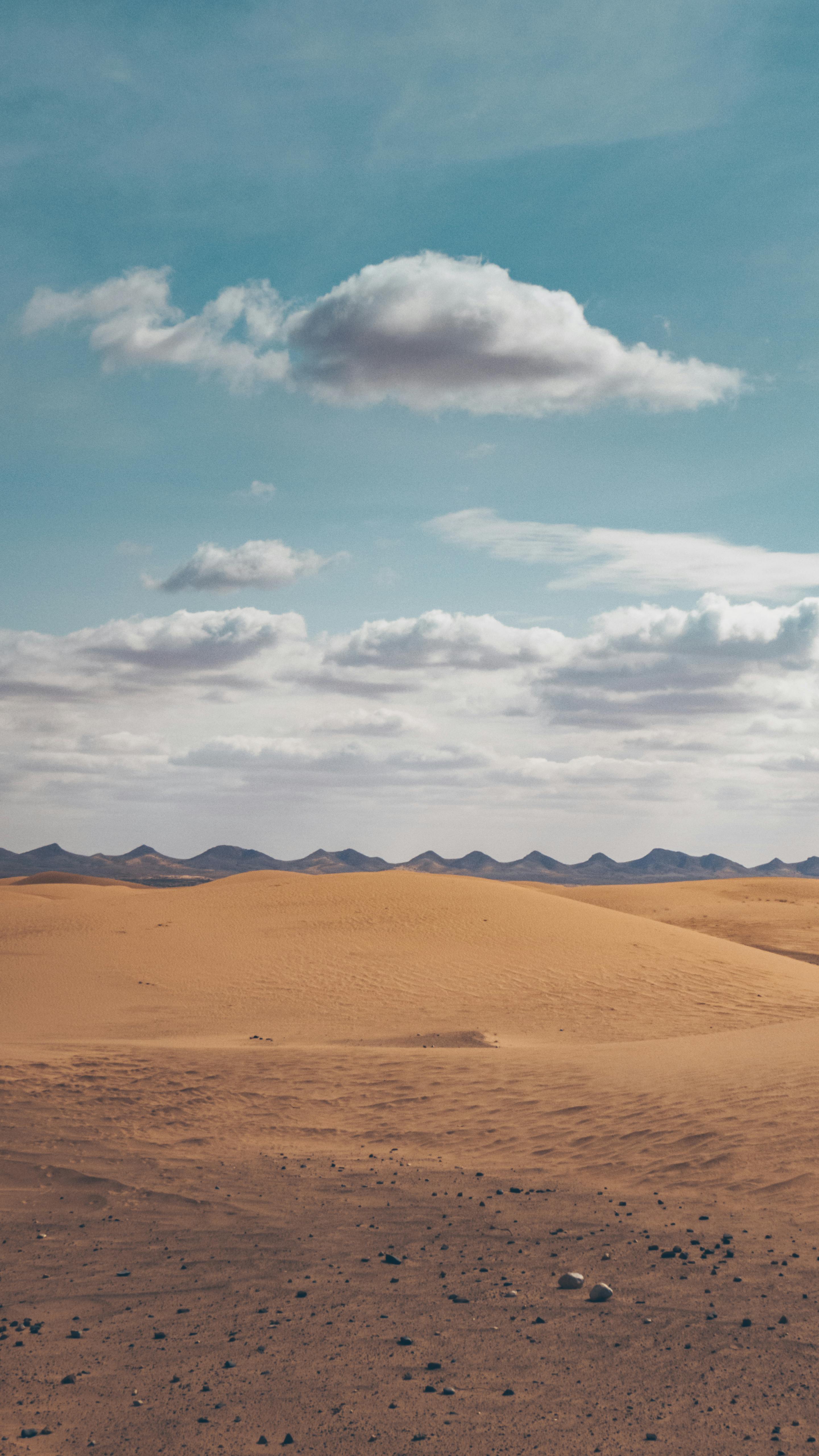 Sandy Desert Landscape · Free Stock Photo