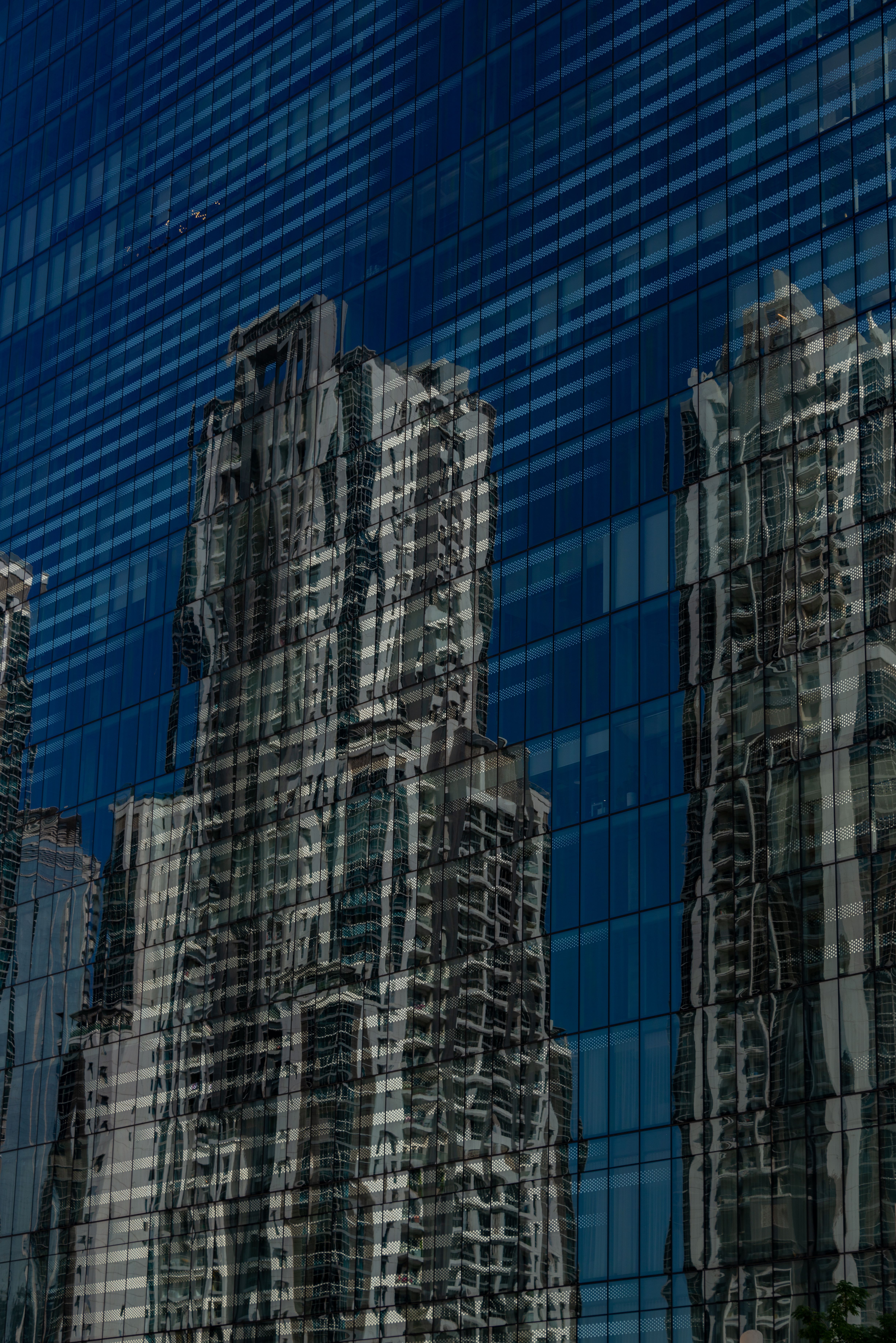 Reflection of Skyscrapers · Free Stock Photo