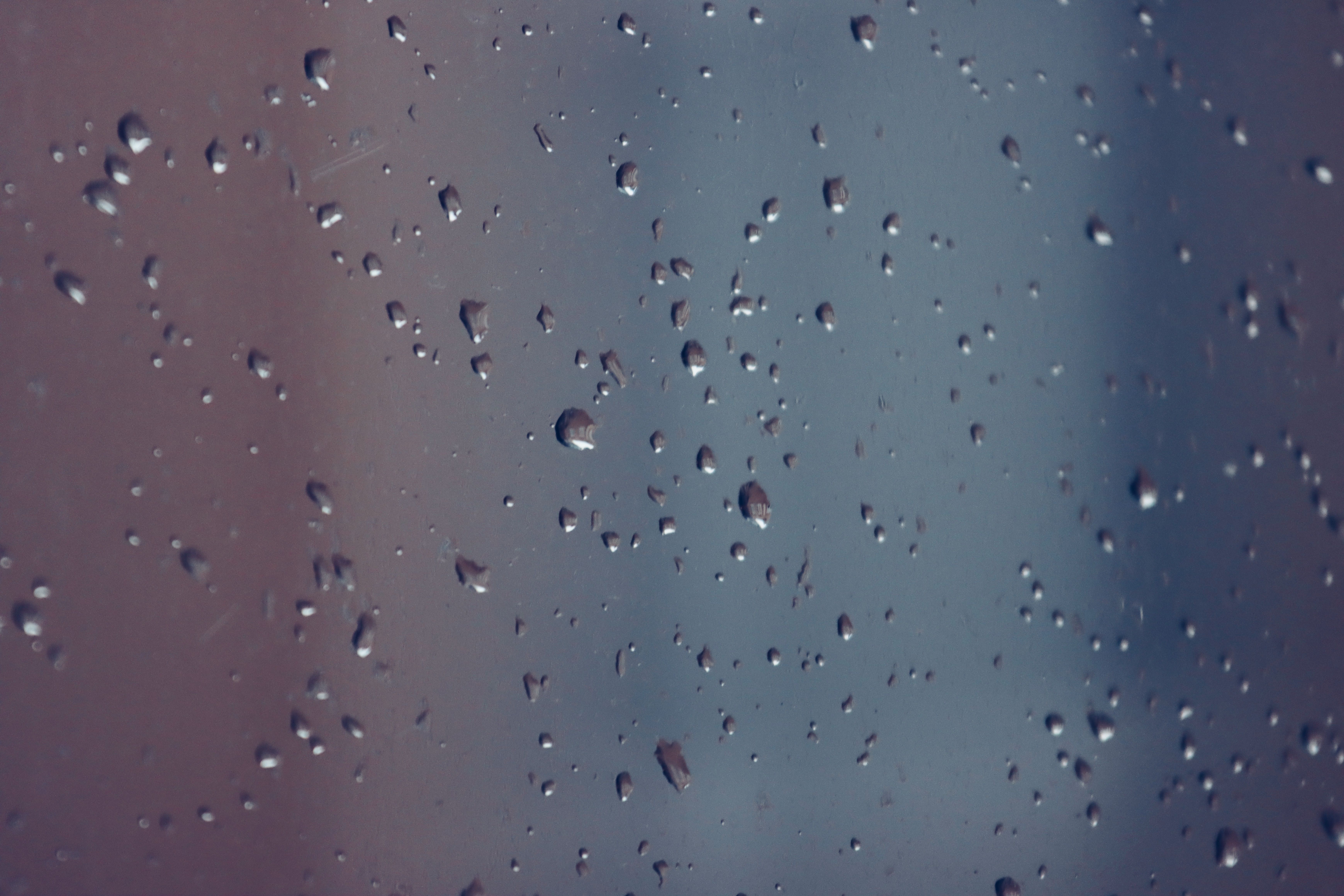 Raindrops on Window · Free Stock Photo