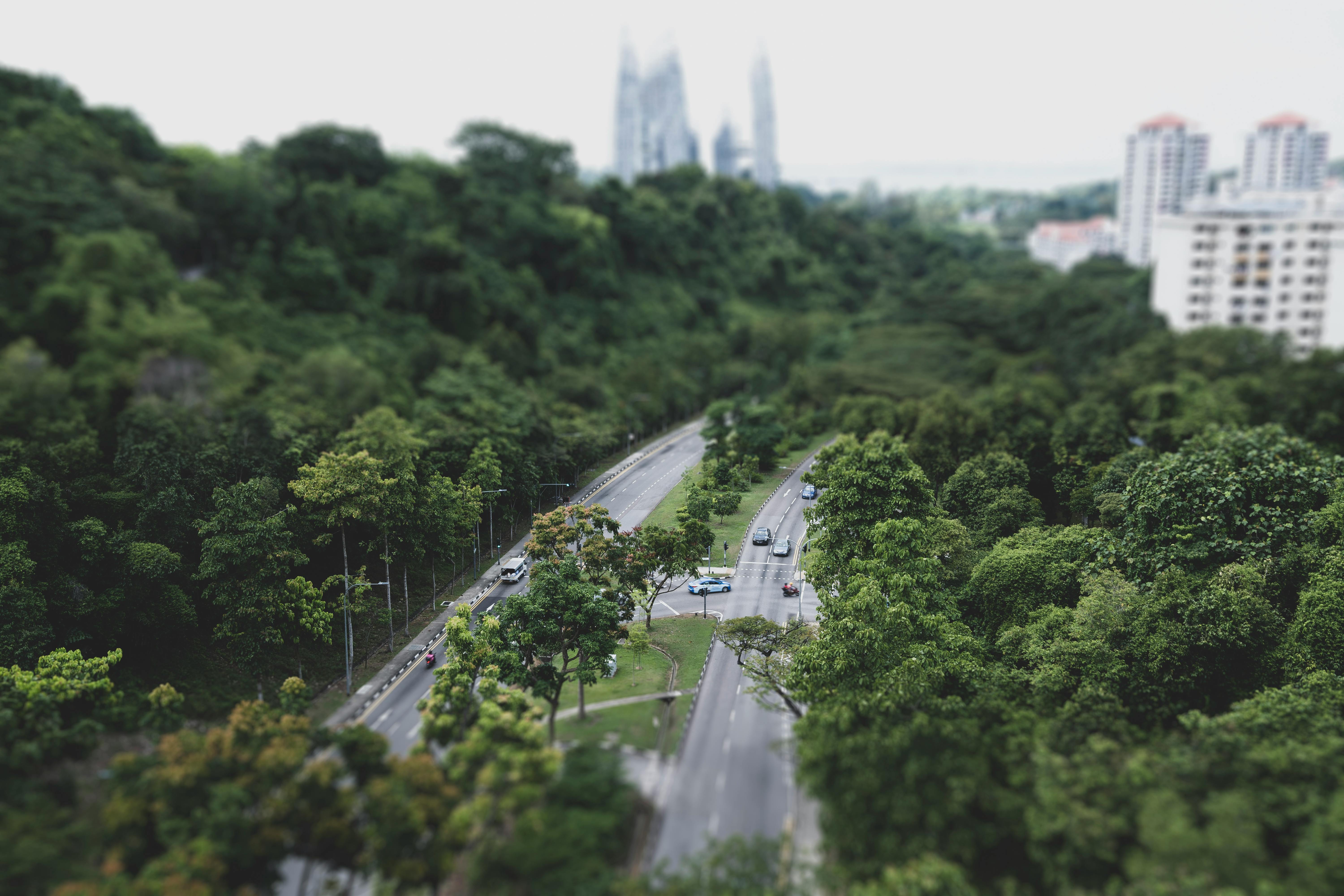 Southern Ridges Route in Singapore · Free Stock Photo