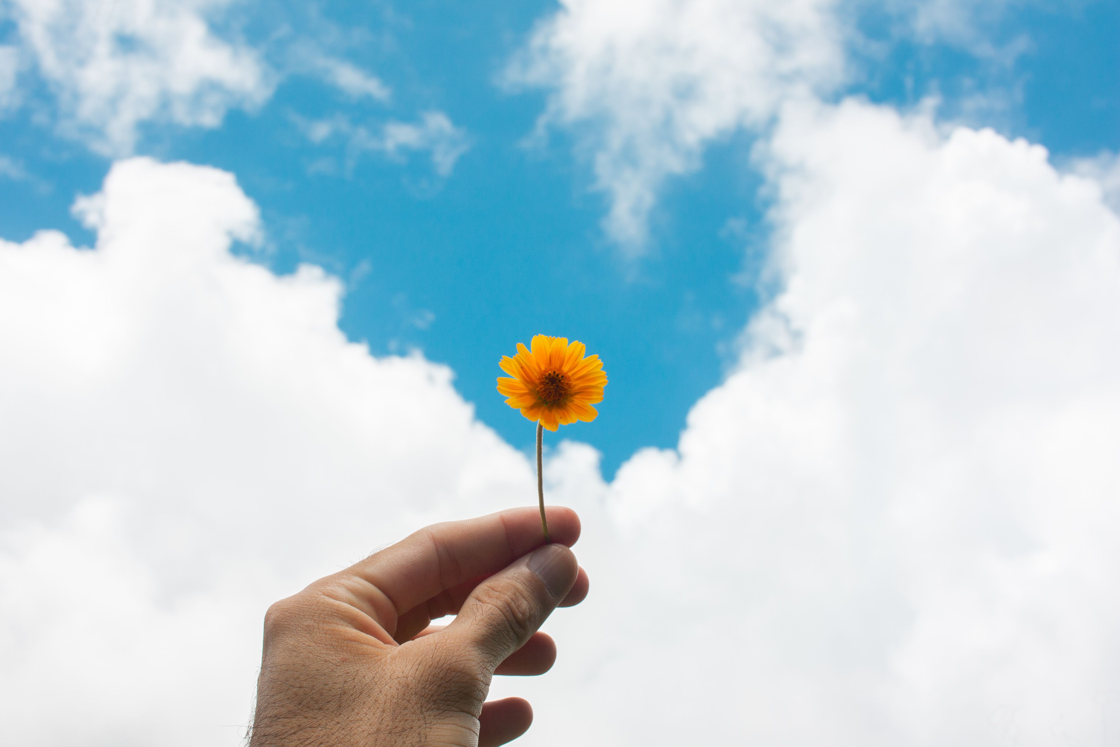 Sky Background Positive World Photos, Download The BEST Free Sky ...