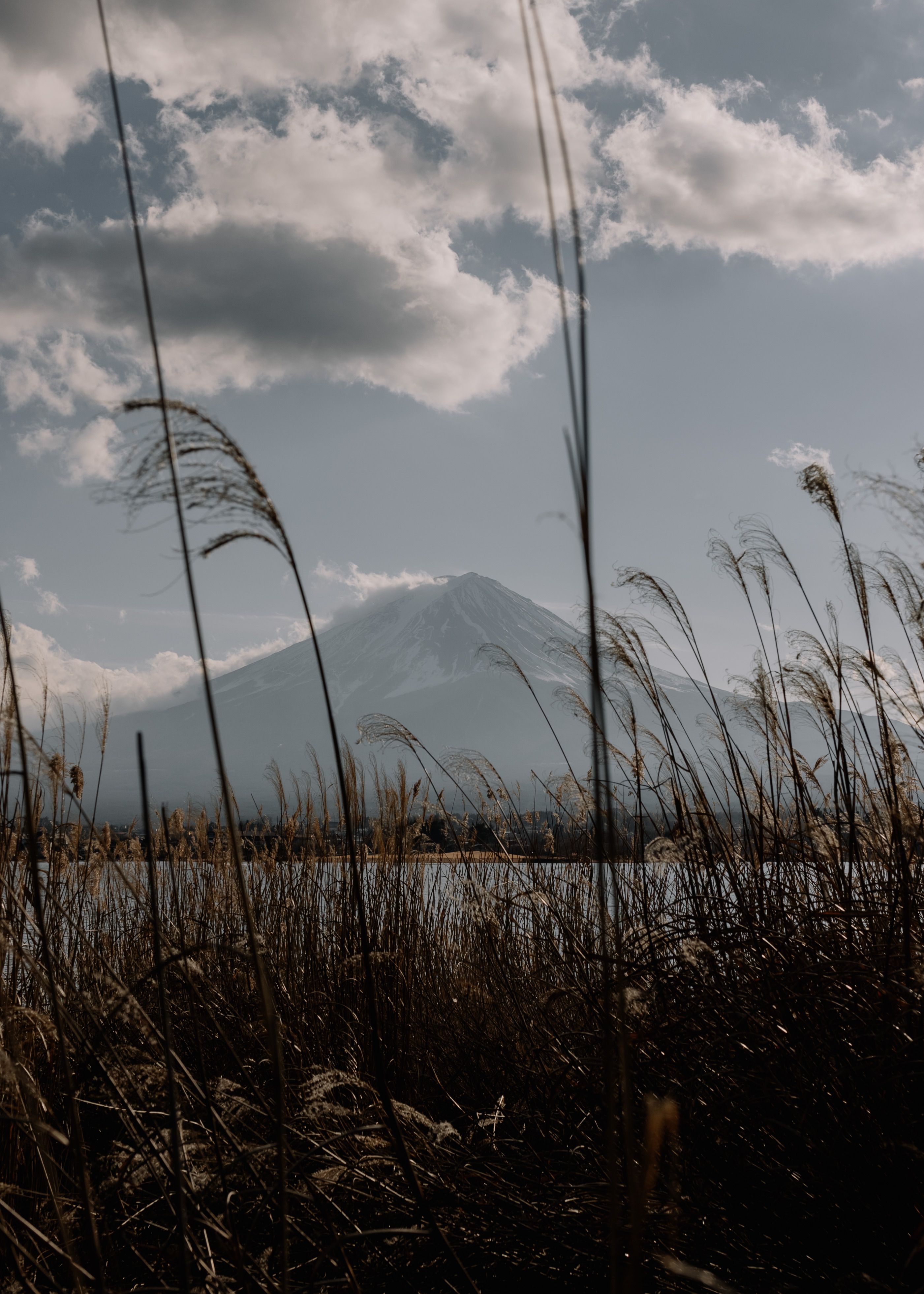 Chureito Pagoda with Mount Fuji in the Distance · Free Stock Photo