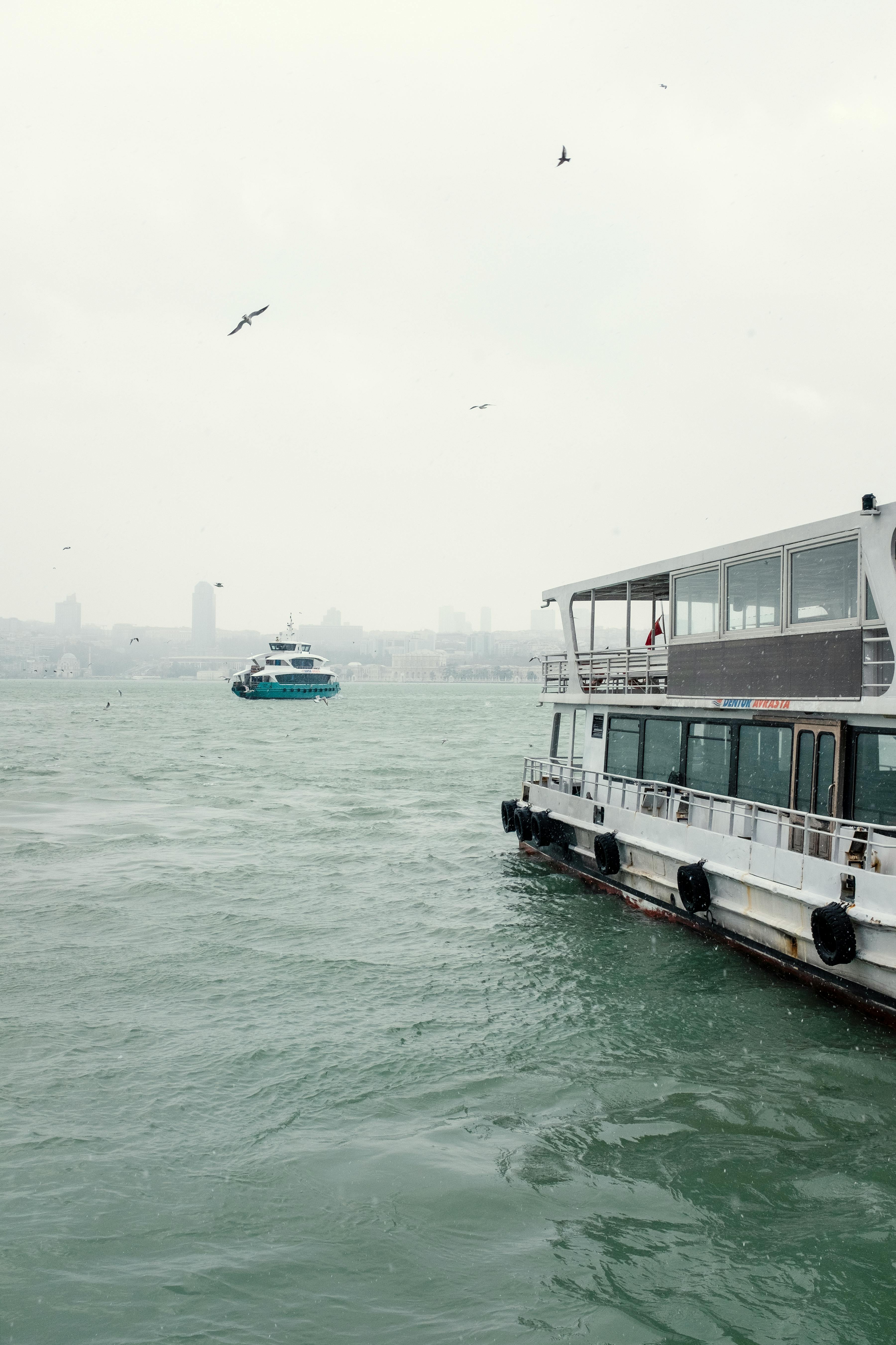 Cruise Ship on Dock · Free Stock Photo