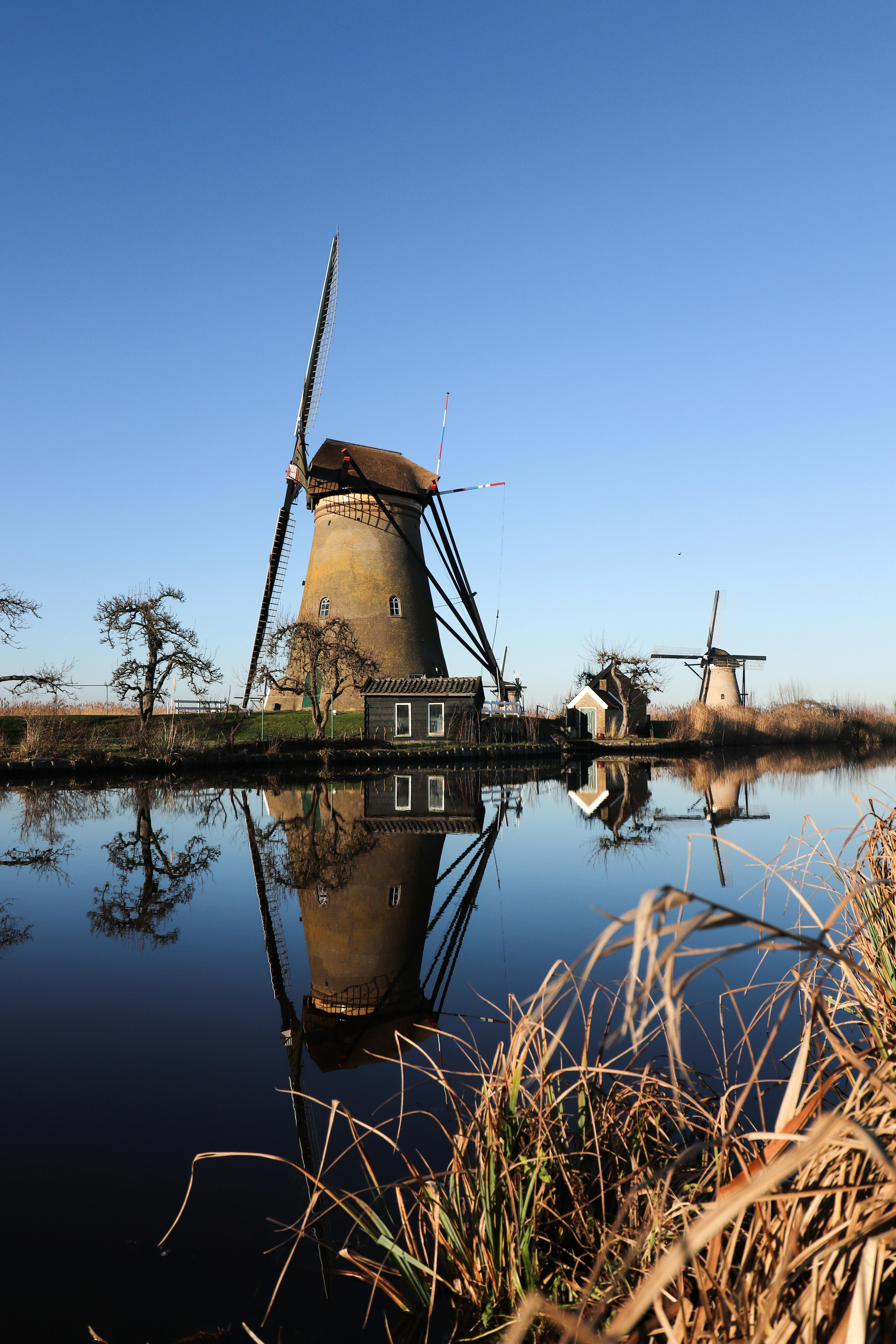 Kinderdijk reflection shot · Free Stock Photo