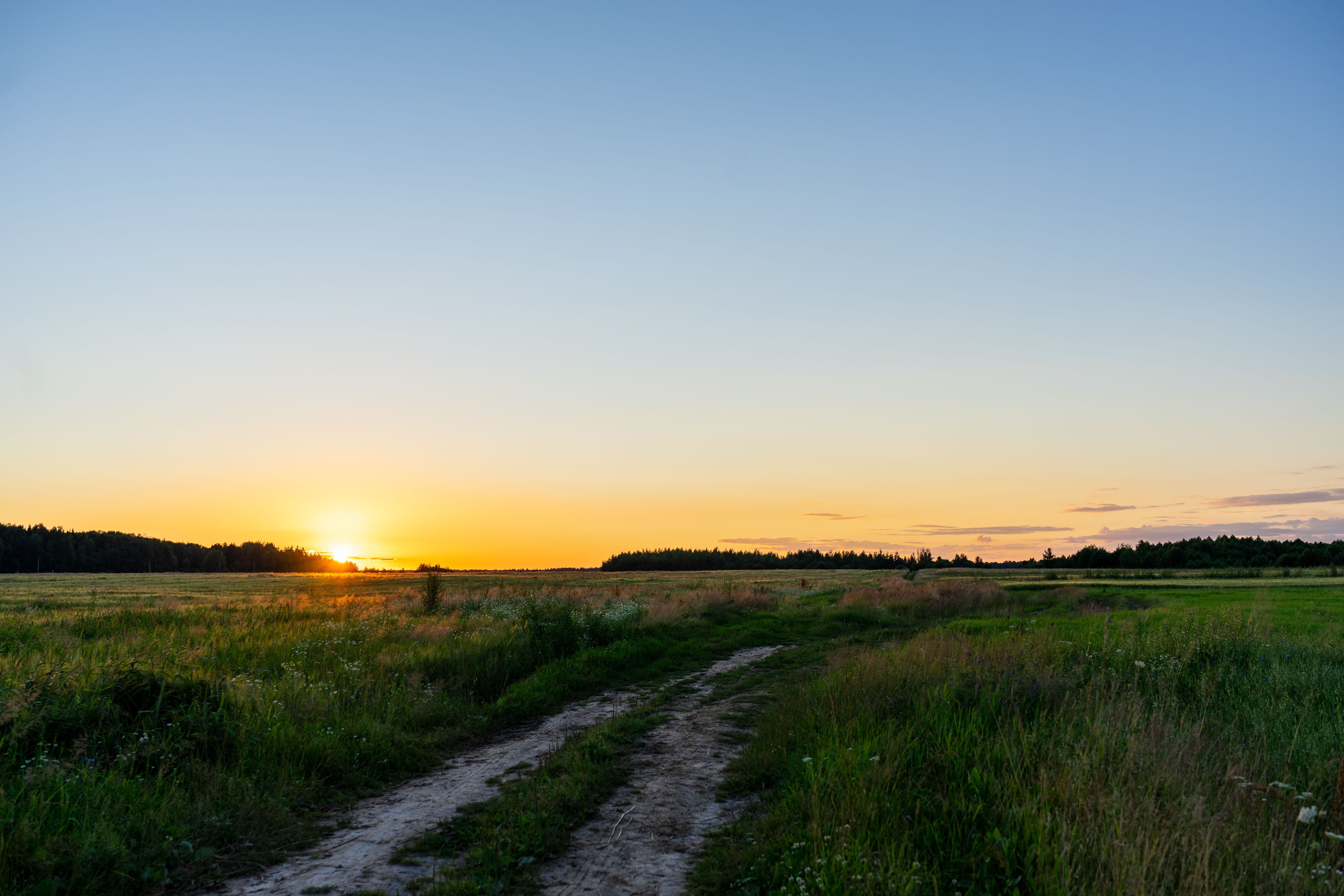 View of a Dirt Road at Sunset · Free Stock Photo