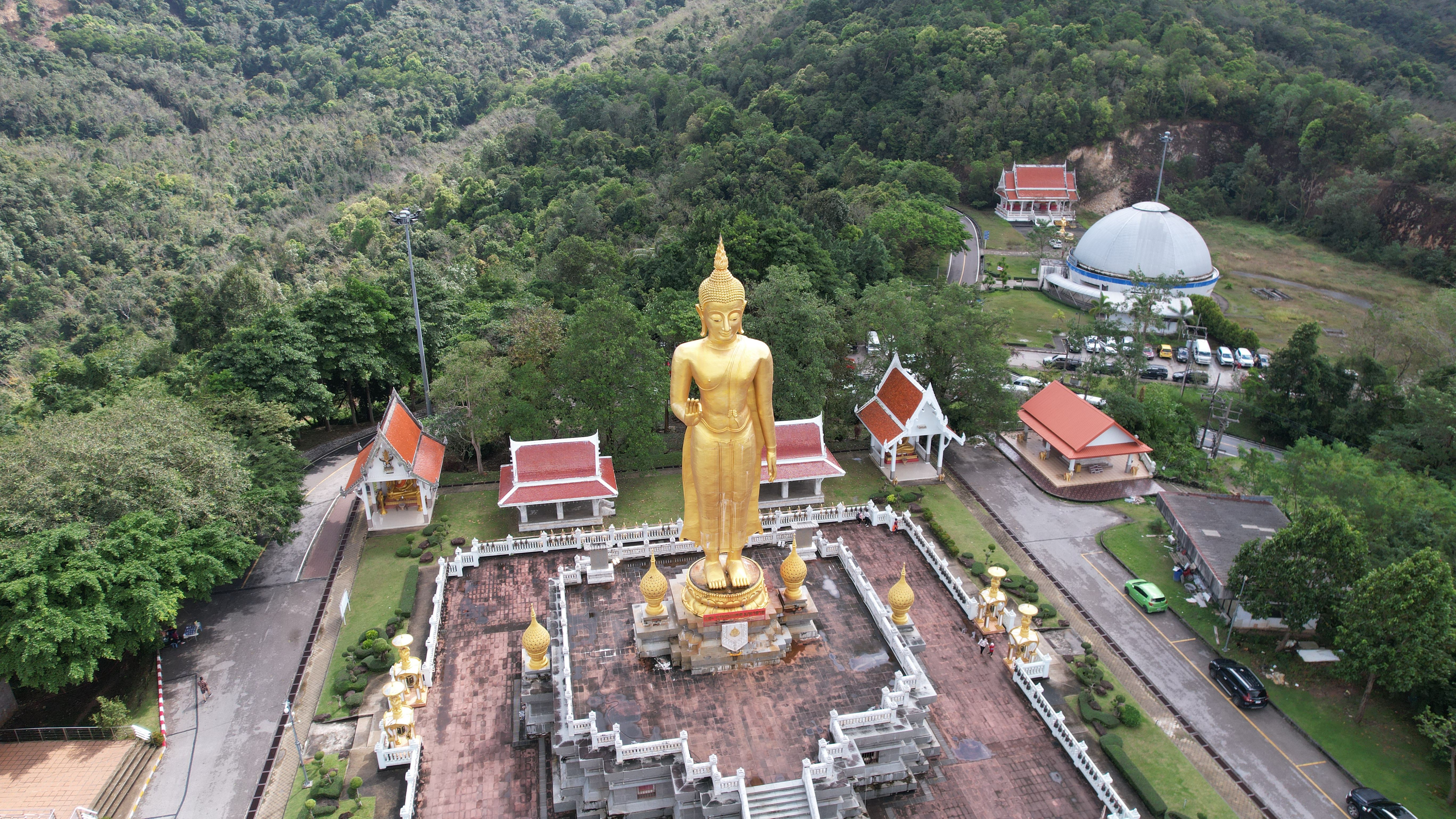 Foto de stock gratuita sobre bosque, buda, budismo, espiritualidad ...