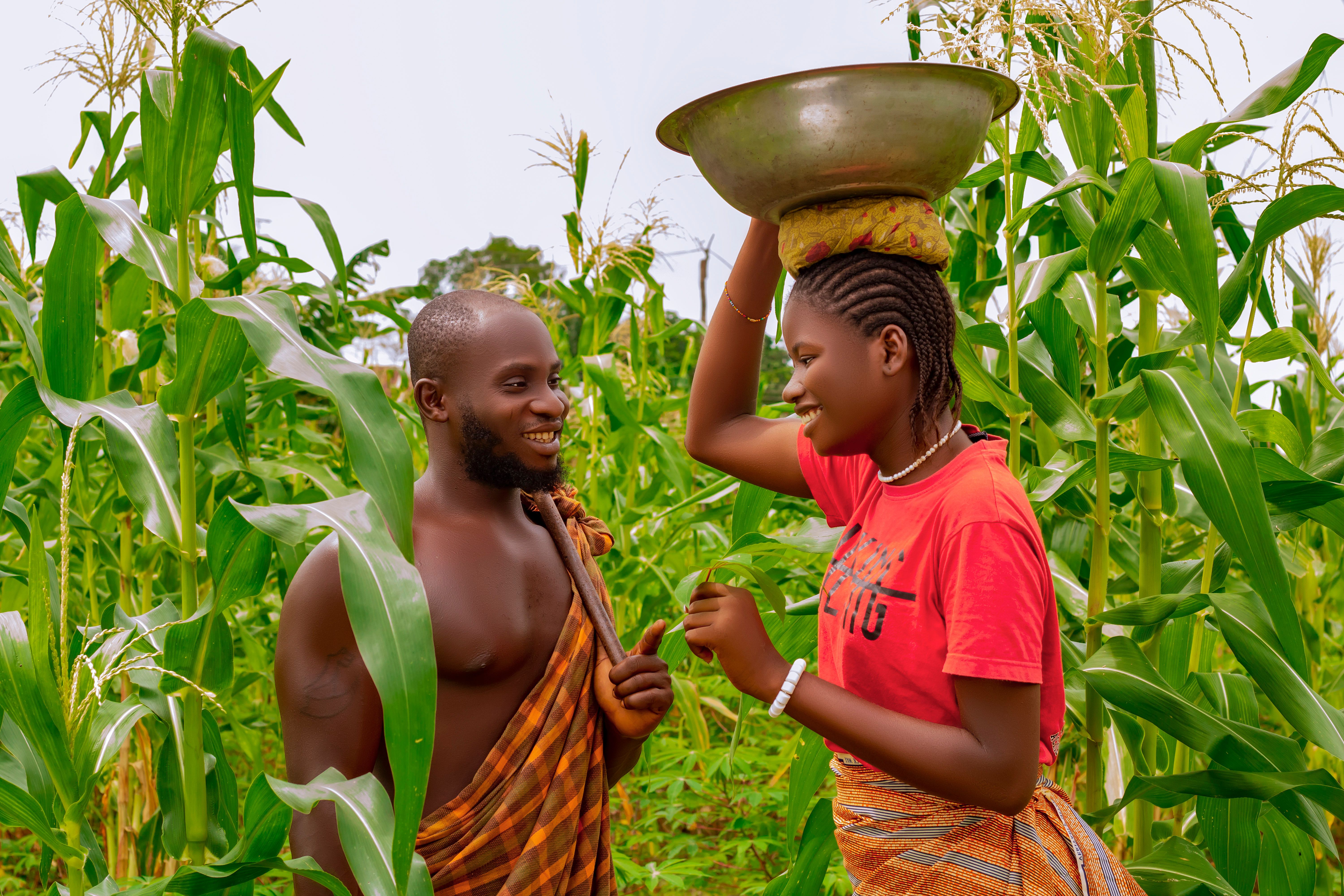 Young Couple Talking in a Corn Field · Free Stock Photo
