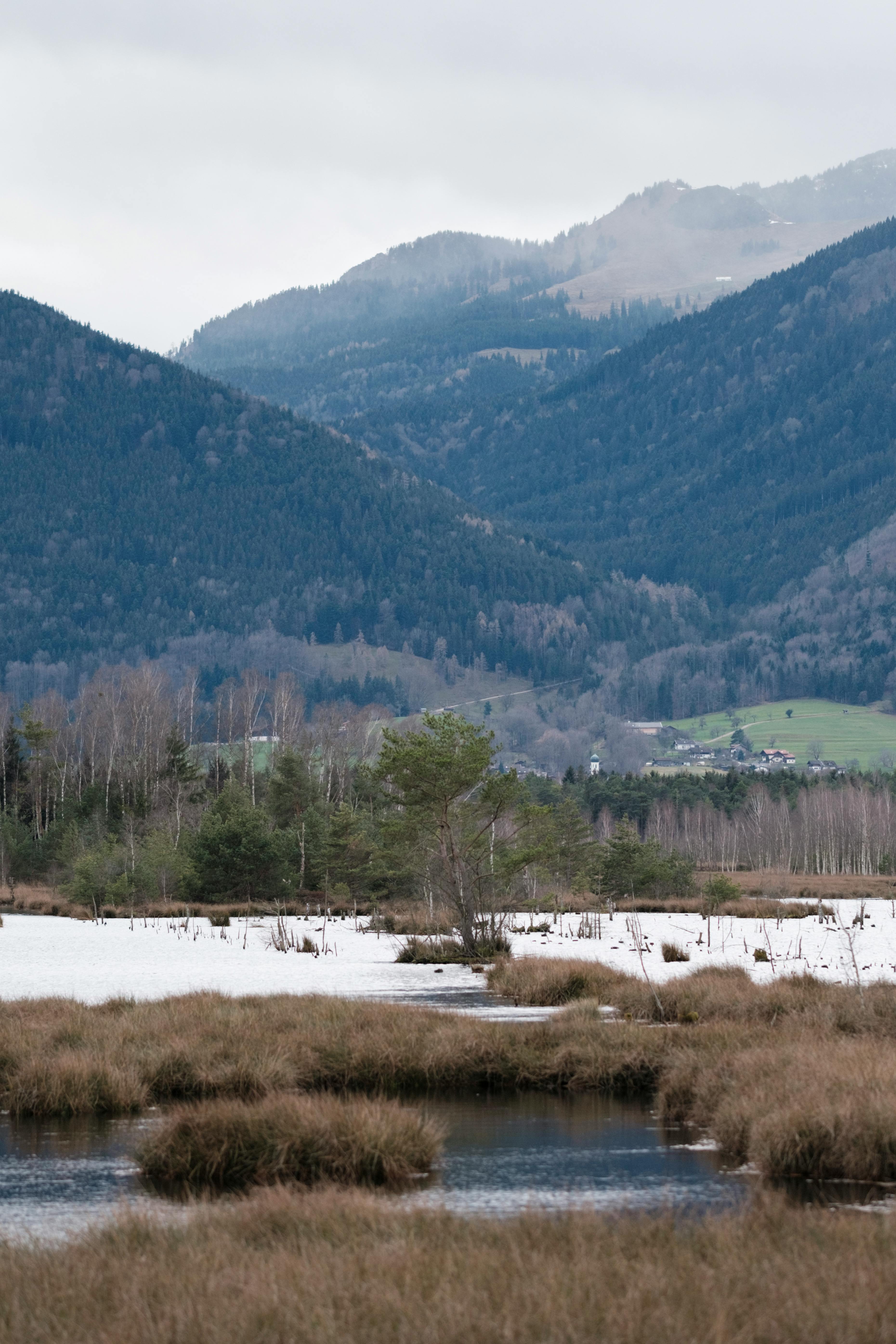 Forest in Snow Reflecting in River · Free Stock Photo