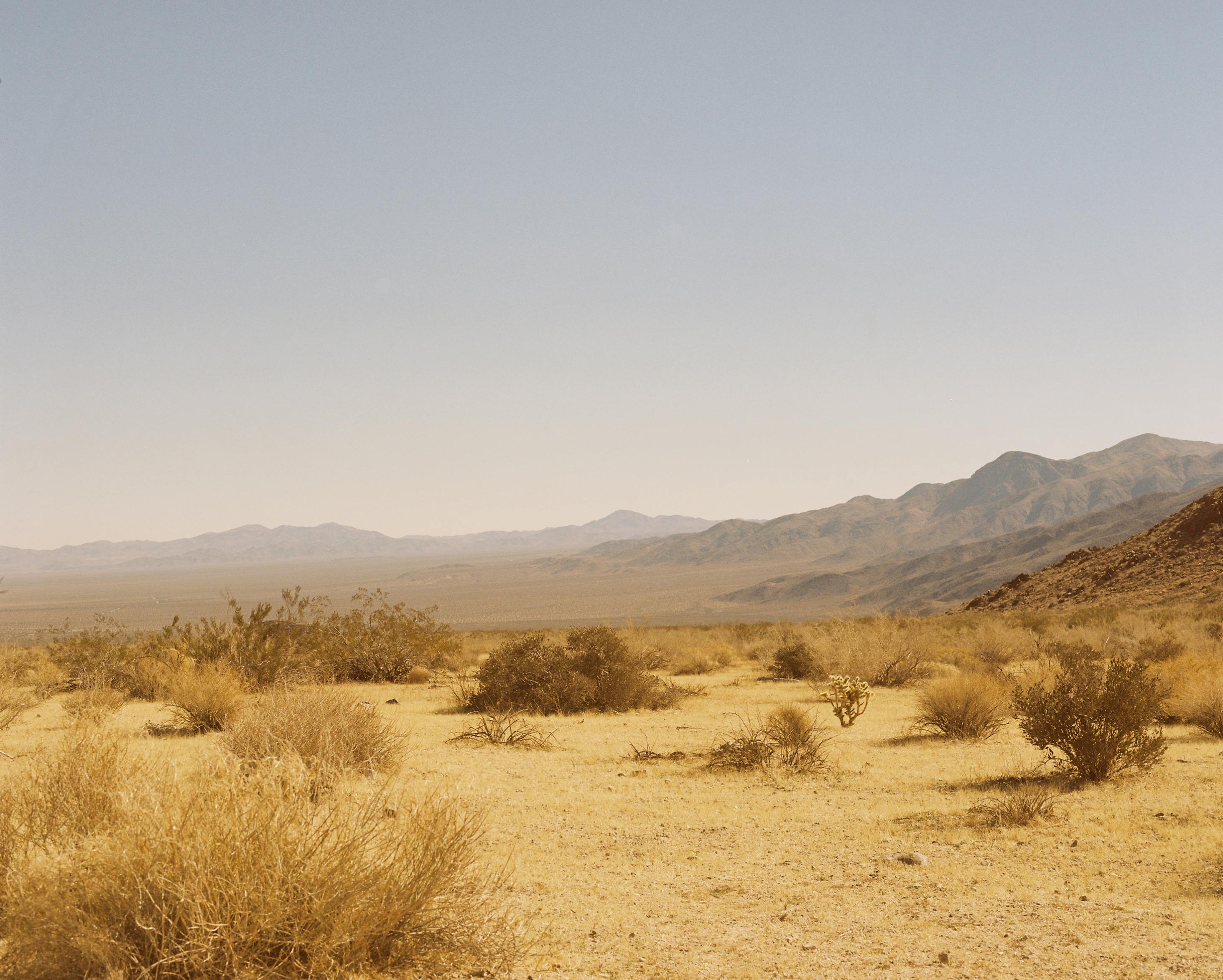 Arid Landscape with Mountains and Small Bushes · Free Stock Photo