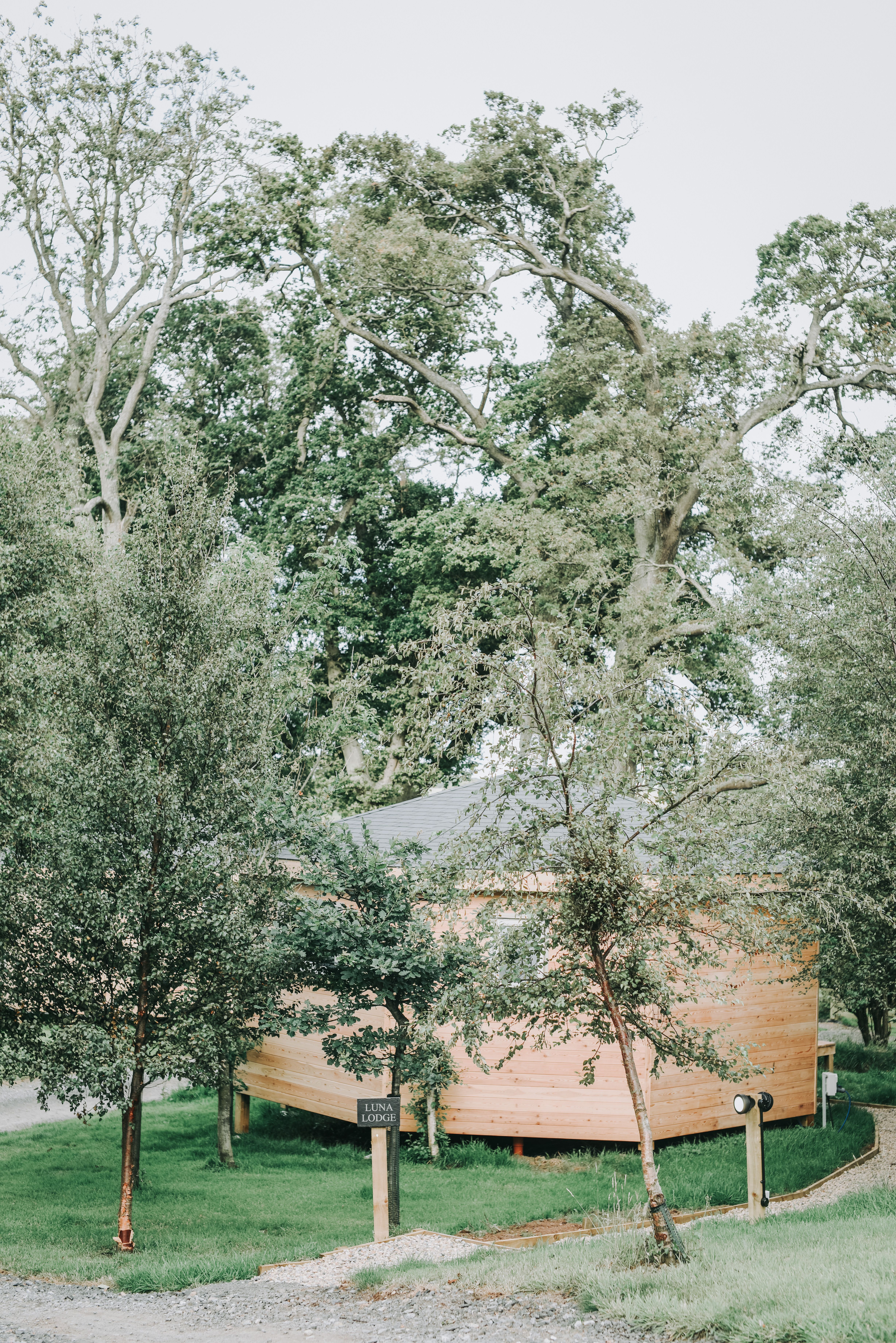 A Wooden Building in a Park · Free Stock Photo