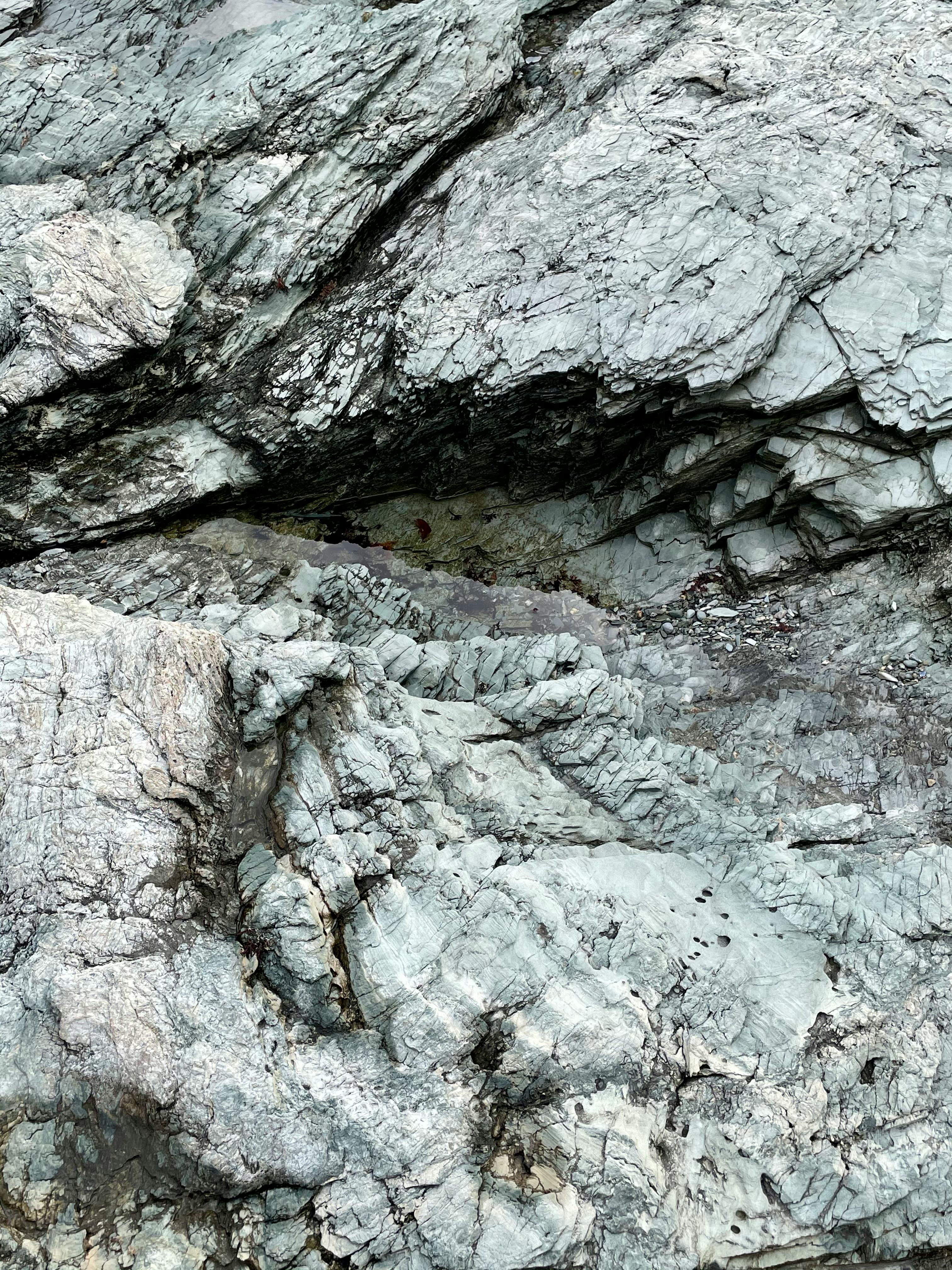 Close-up of a Stone Texture · Free Stock Photo