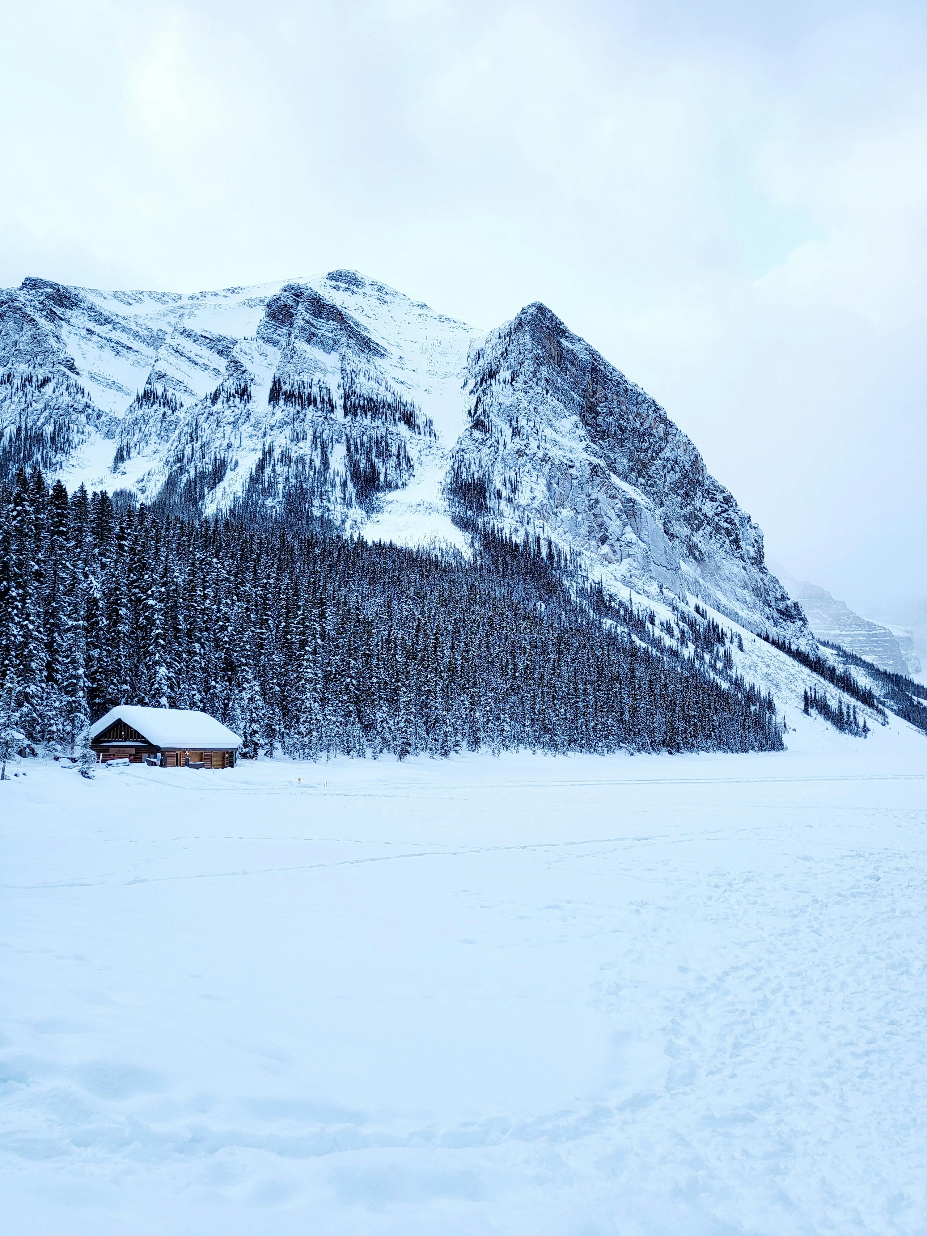 Lights on Building at Night in Winter · Free Stock Photo