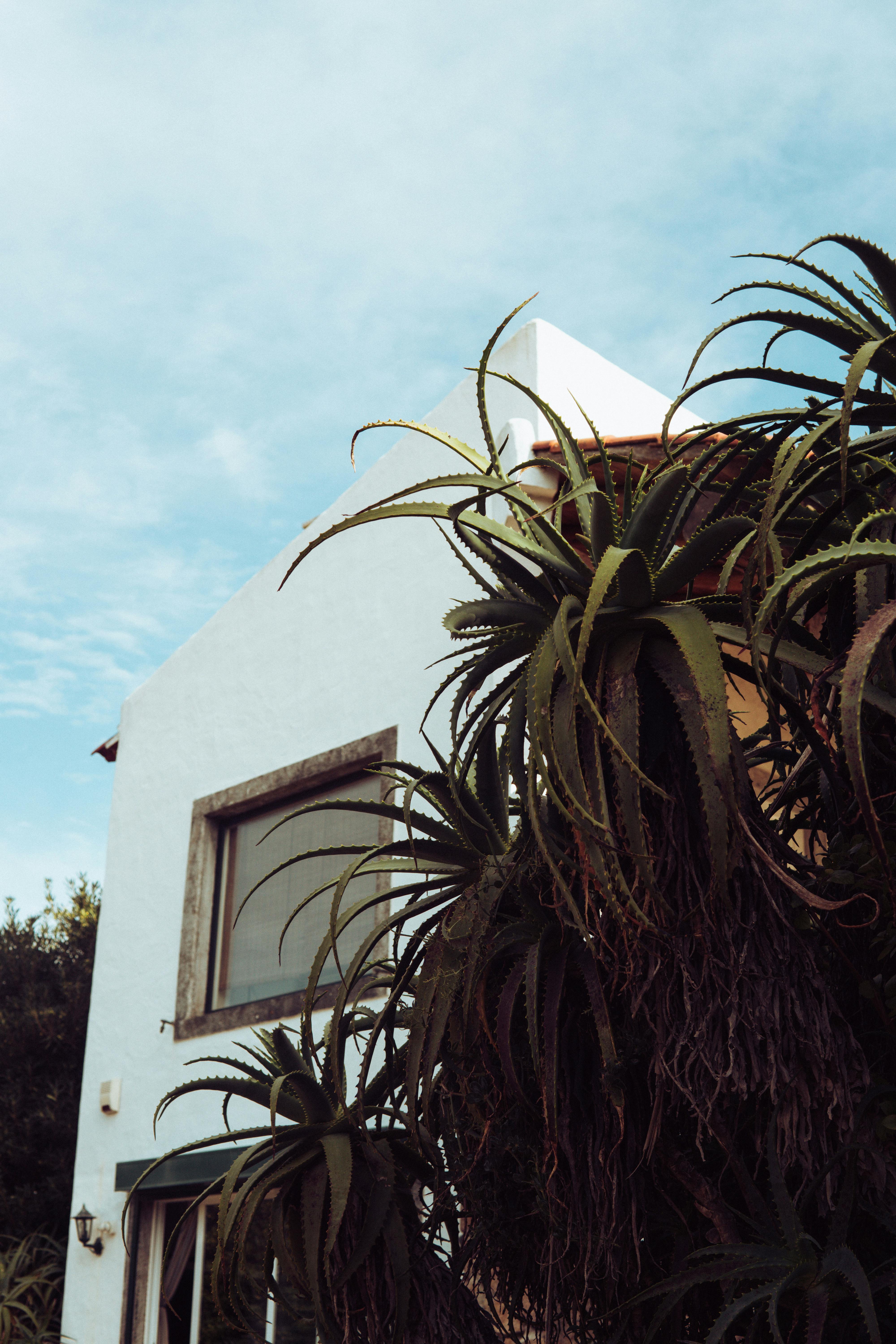 Beautiful Home Outside Photos, Download The BEST Free Beautiful Home ...