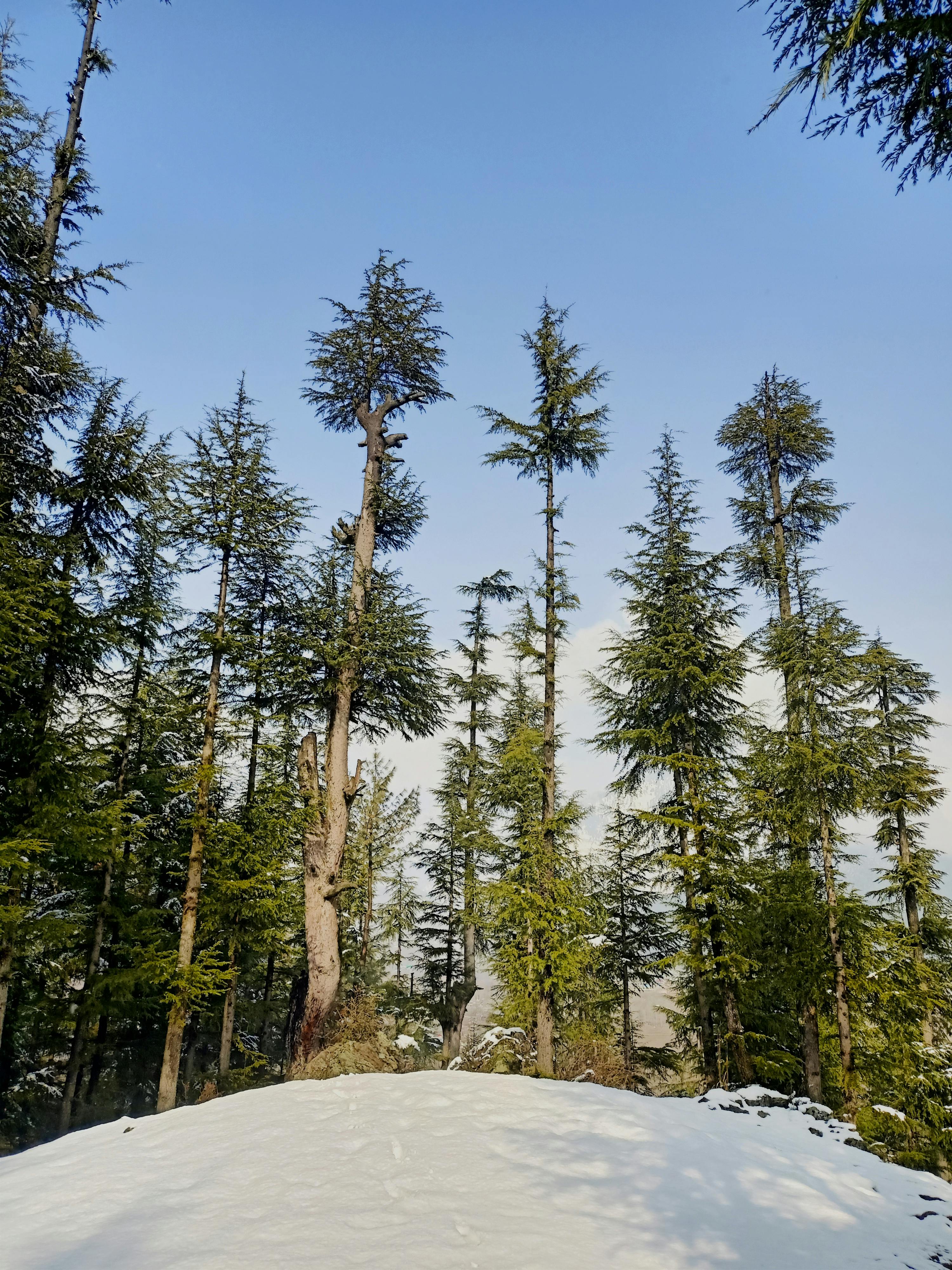 Sogam Photos, Download The BEST Free Sogam Stock Photos & HD Images