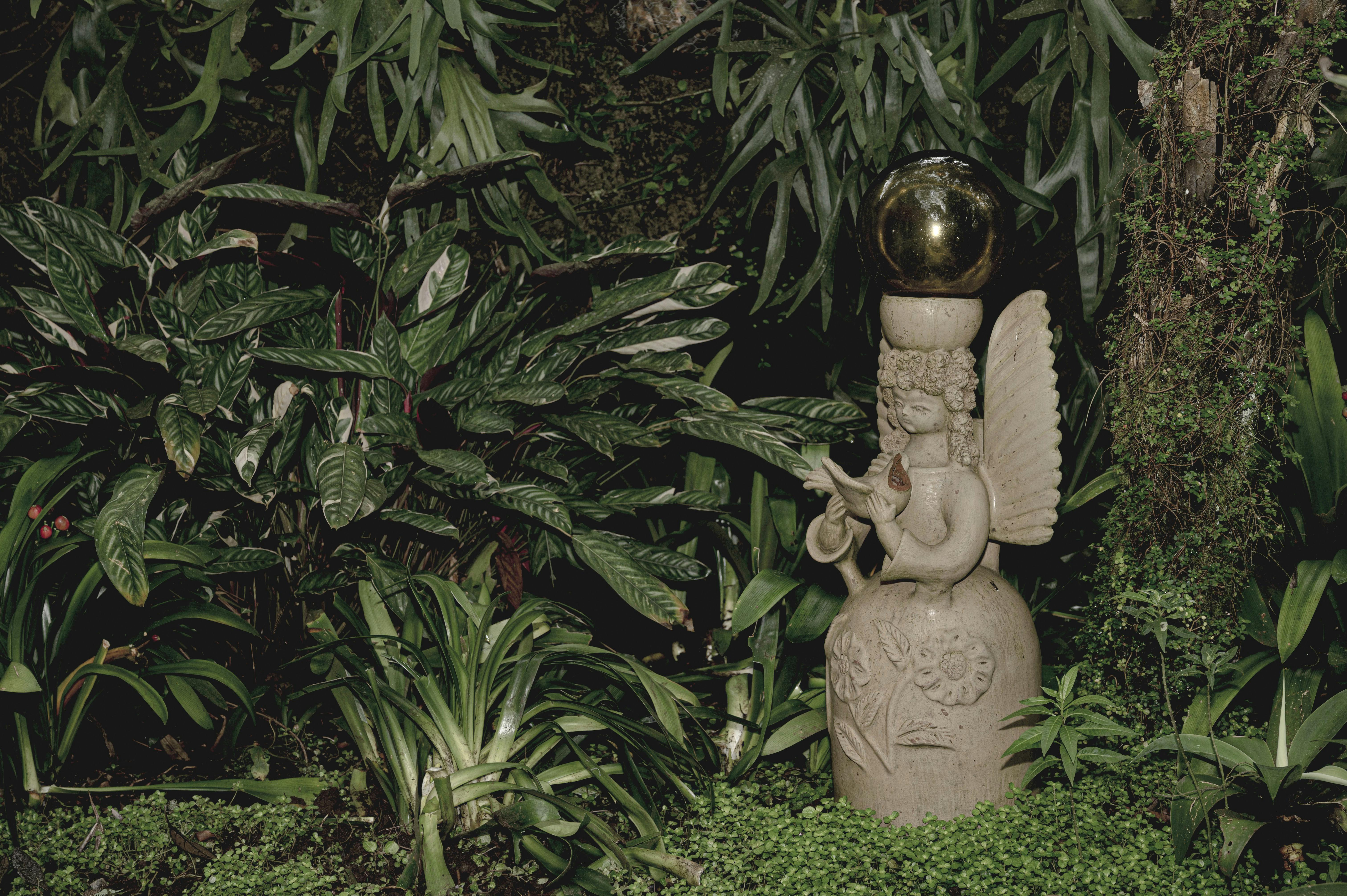 omar william david williams - Photography