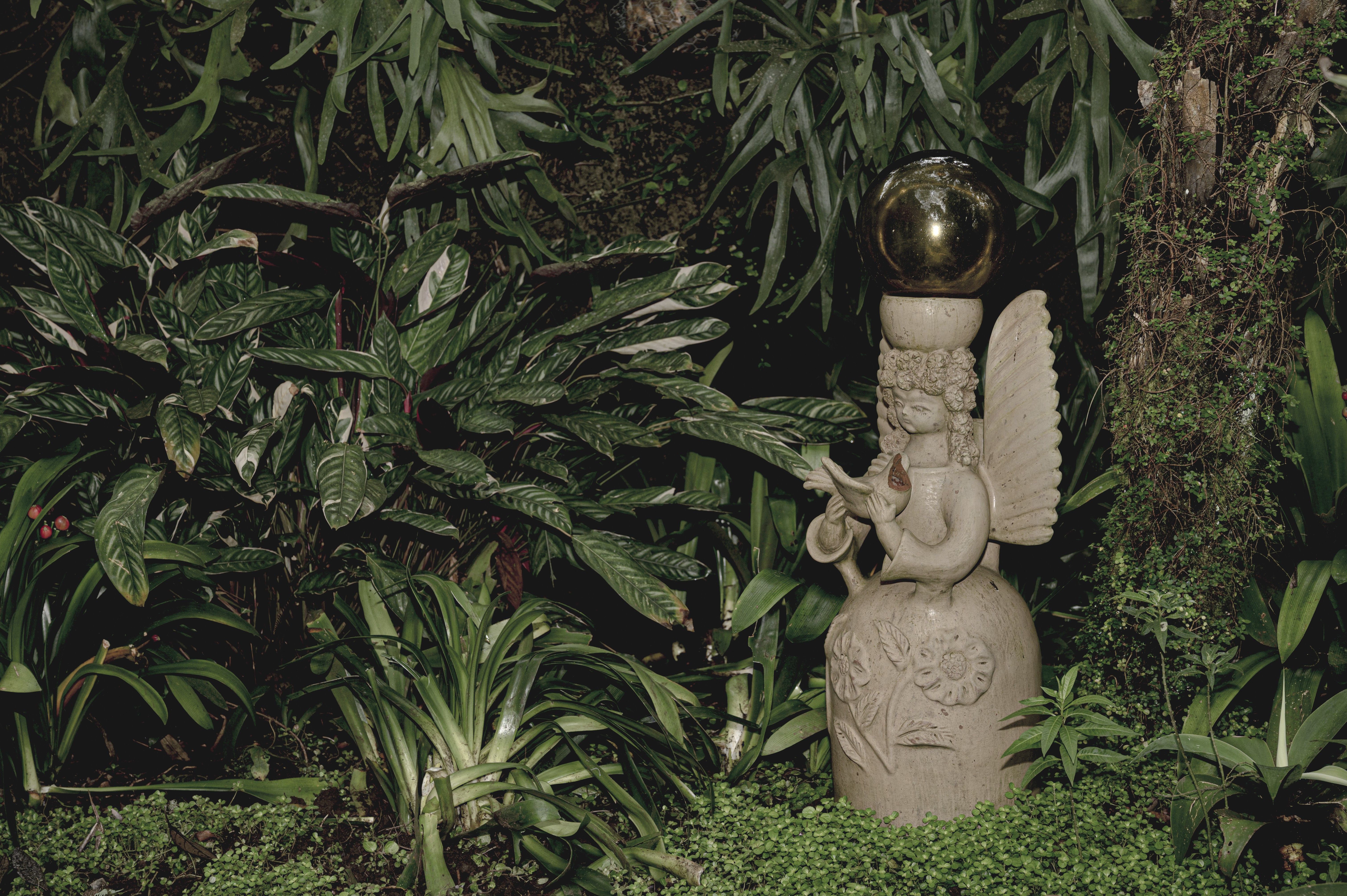 Foto de stock gratuita sobre @al aire libre, ángel, arte, arte ...