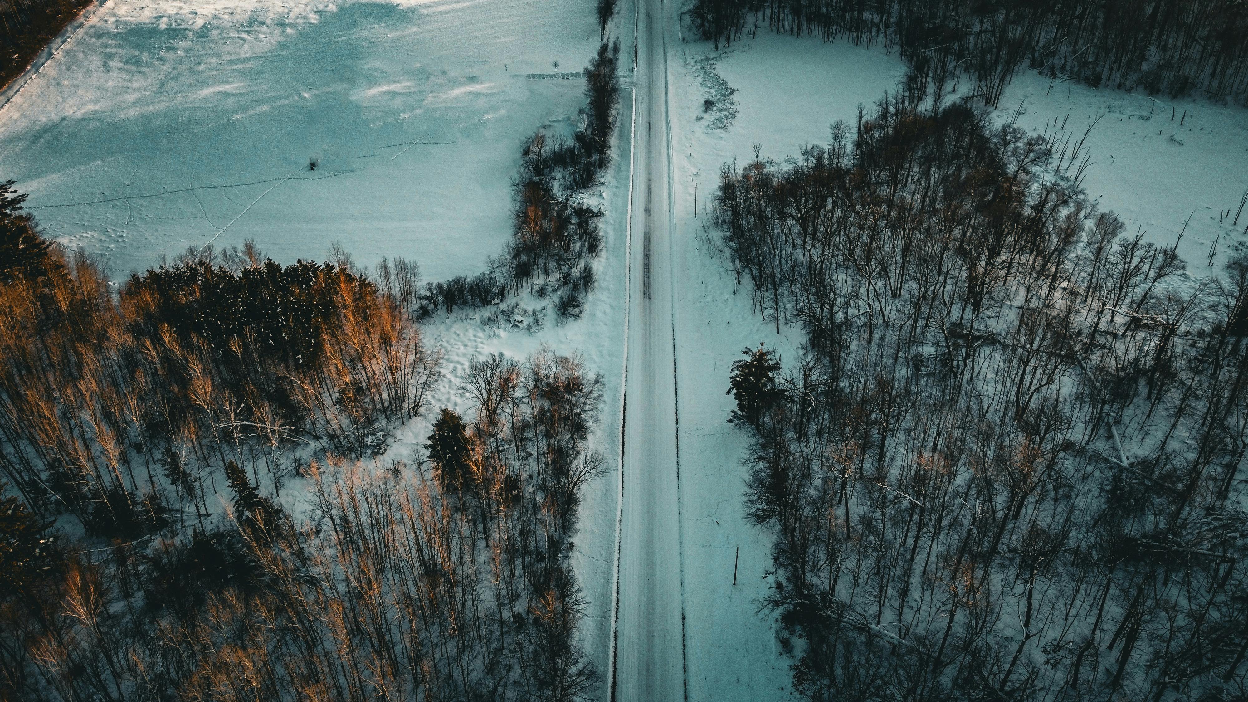 Trees around Road in Winter · Free Stock Photo