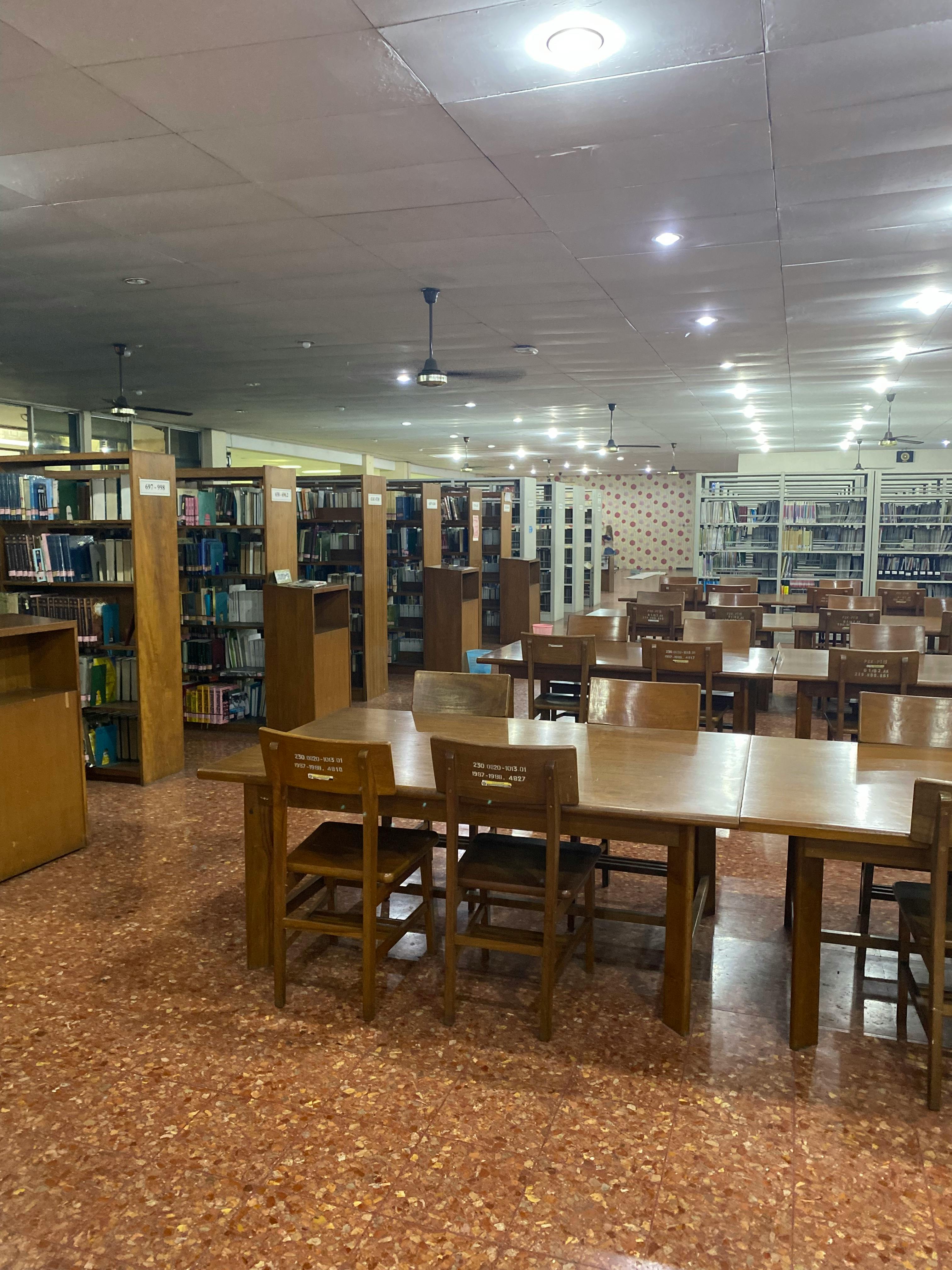 Pal Eyes - Photography