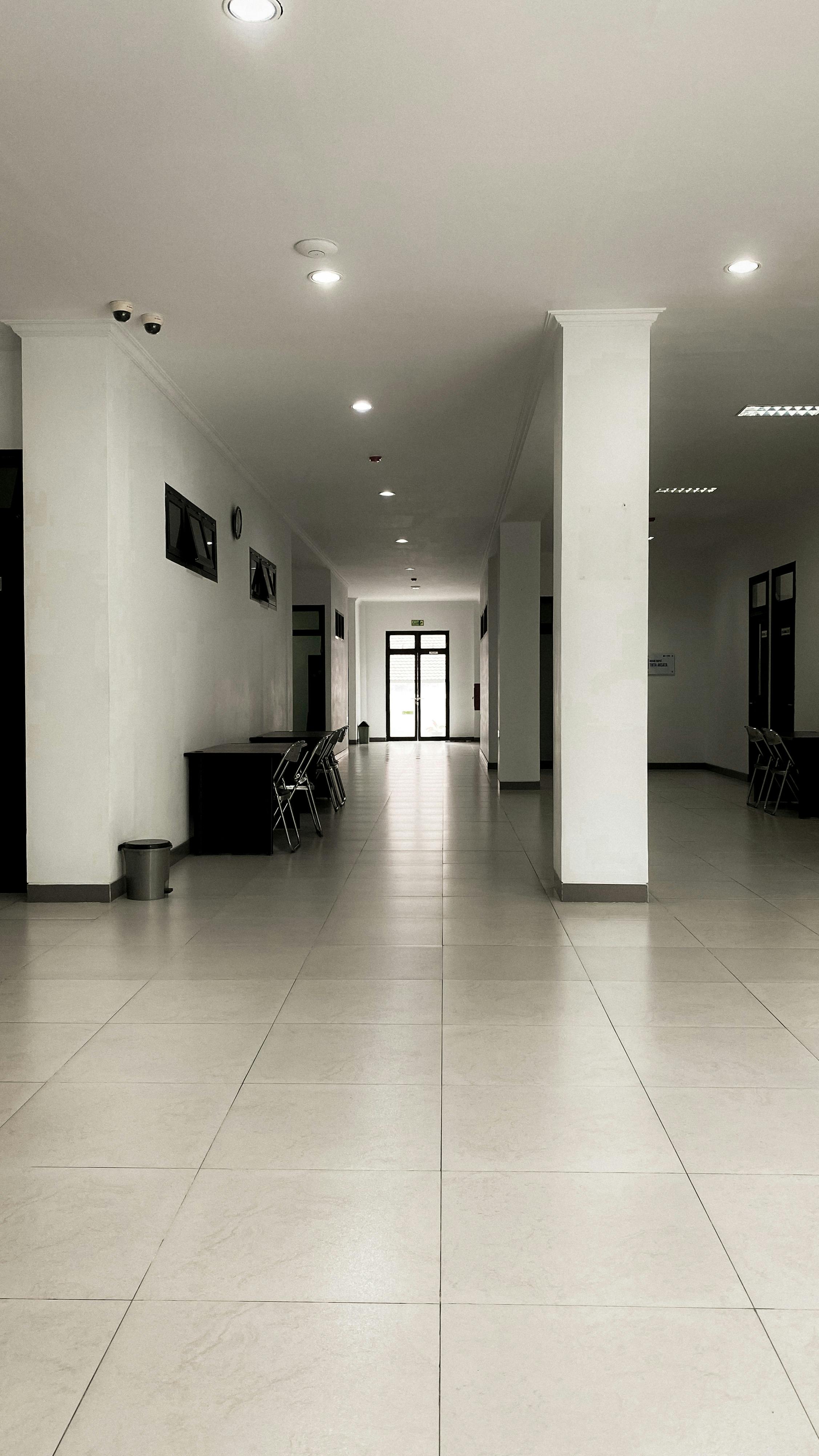 Pal Eyes - Photography