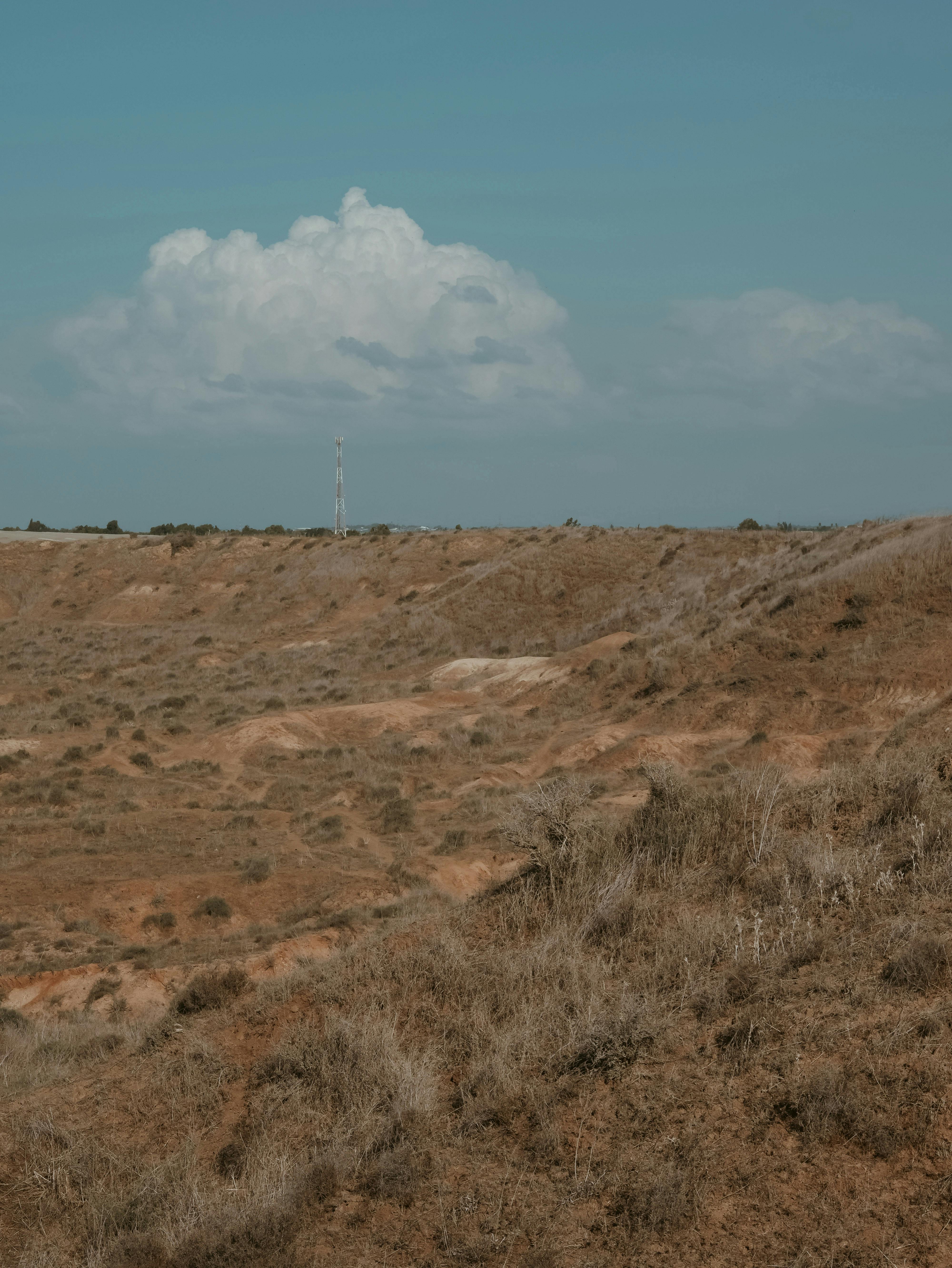 An Empty Land covered in Dry Grass · Free Stock Photo