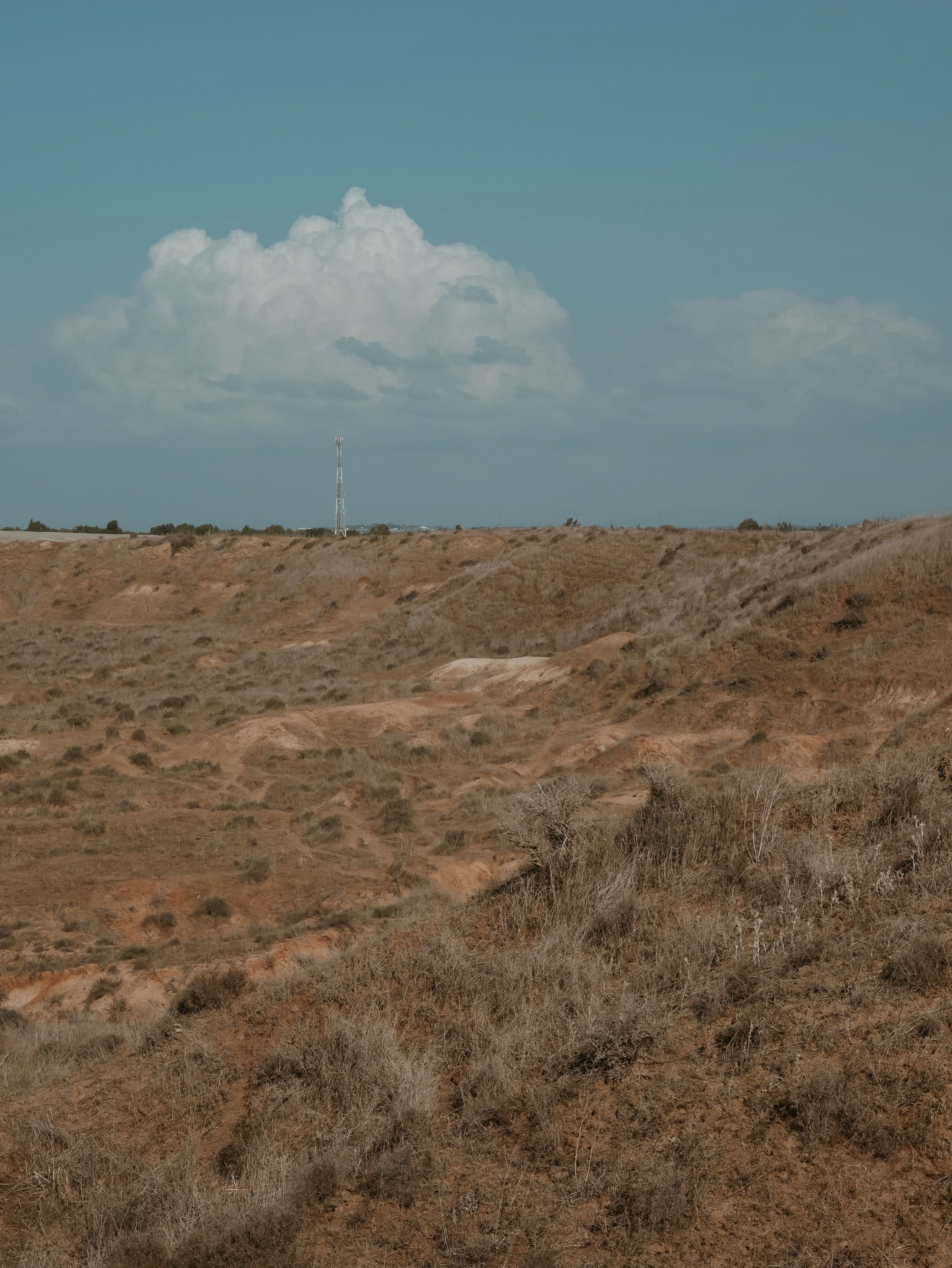 An Empty Land covered in Dry Grass · Free Stock Photo