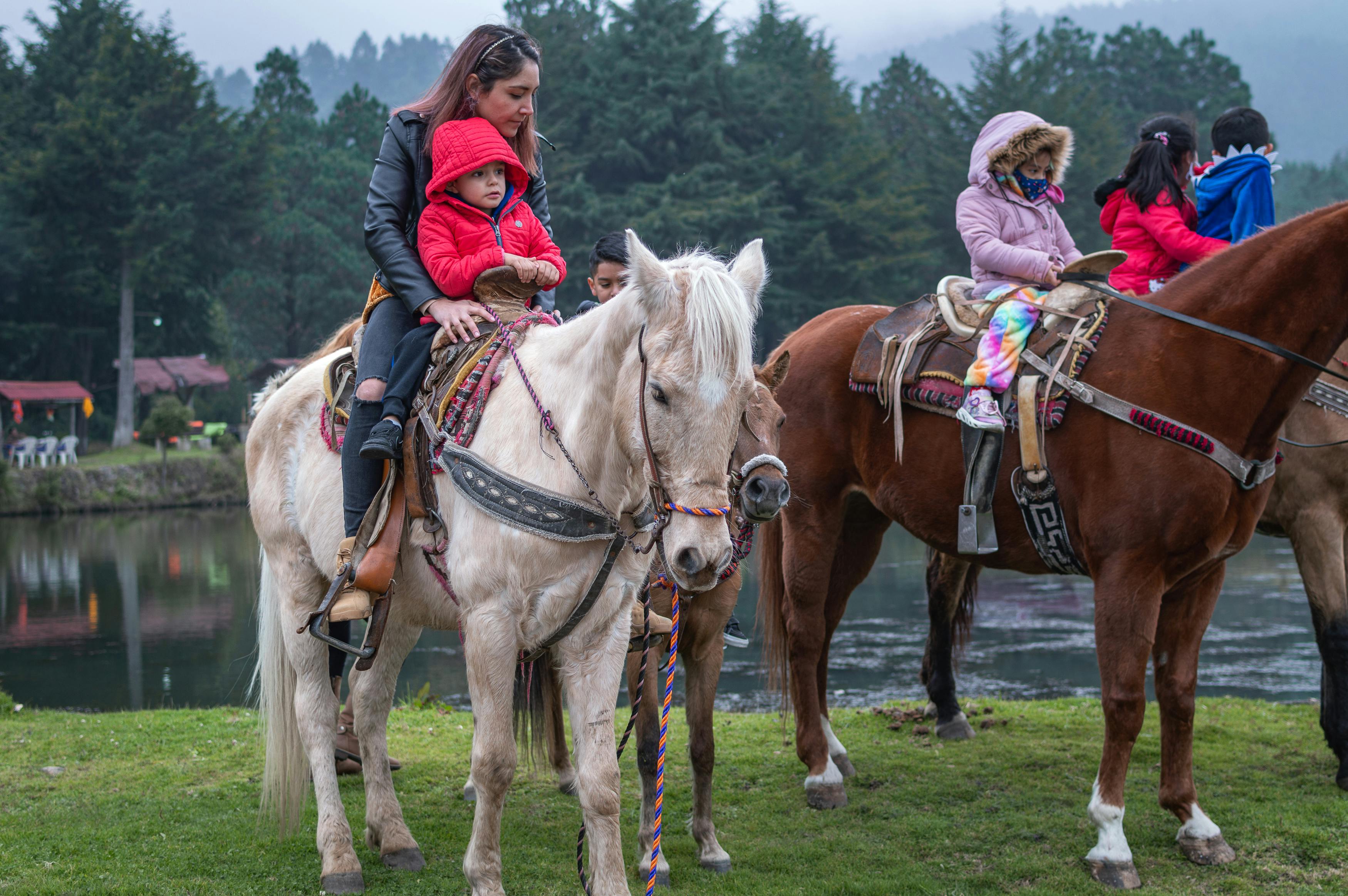 People Riding Horseback around a Vineyard · Free Stock Photo