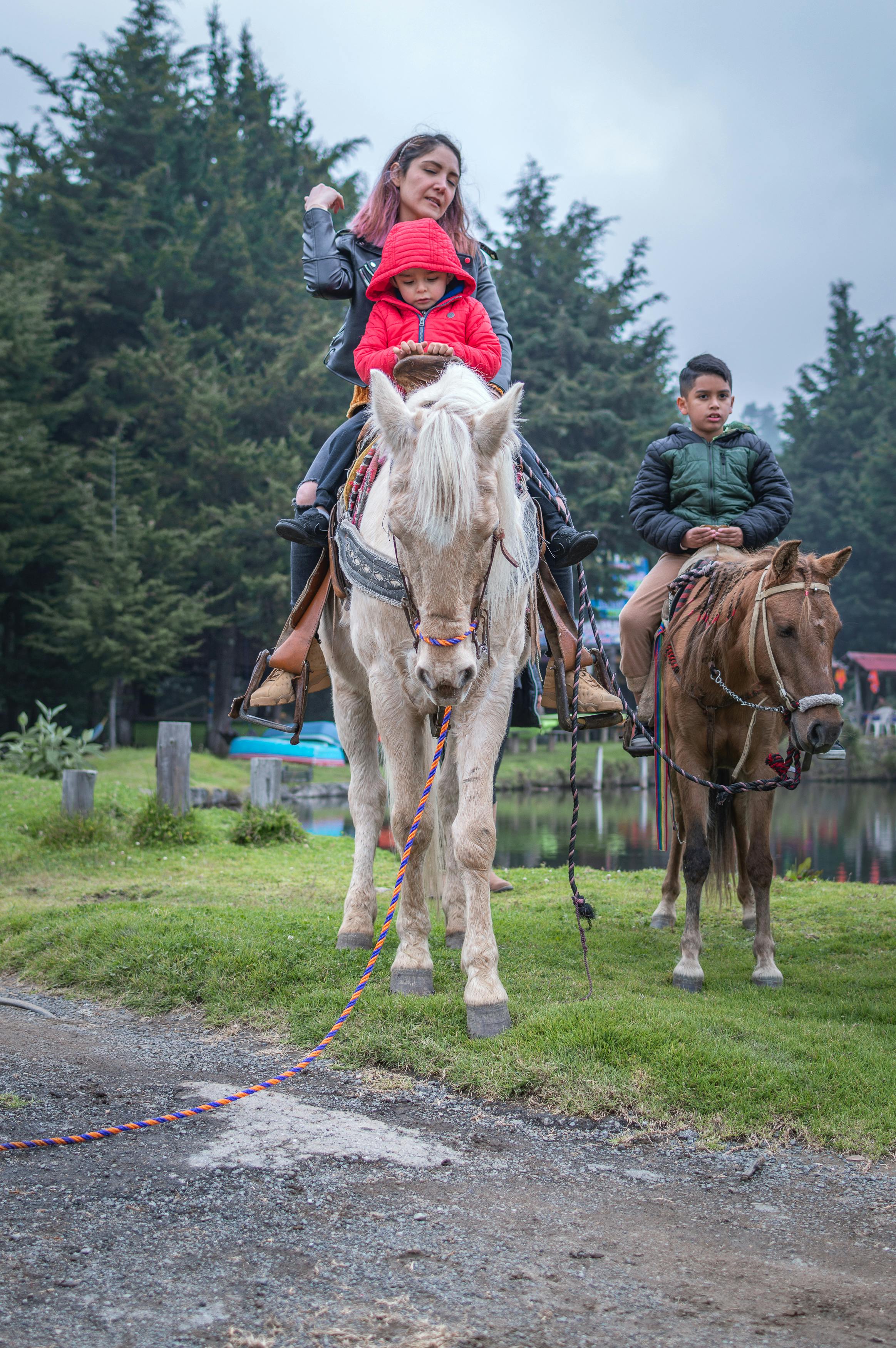 People Horseback Riding on Farm · Free Stock Photo