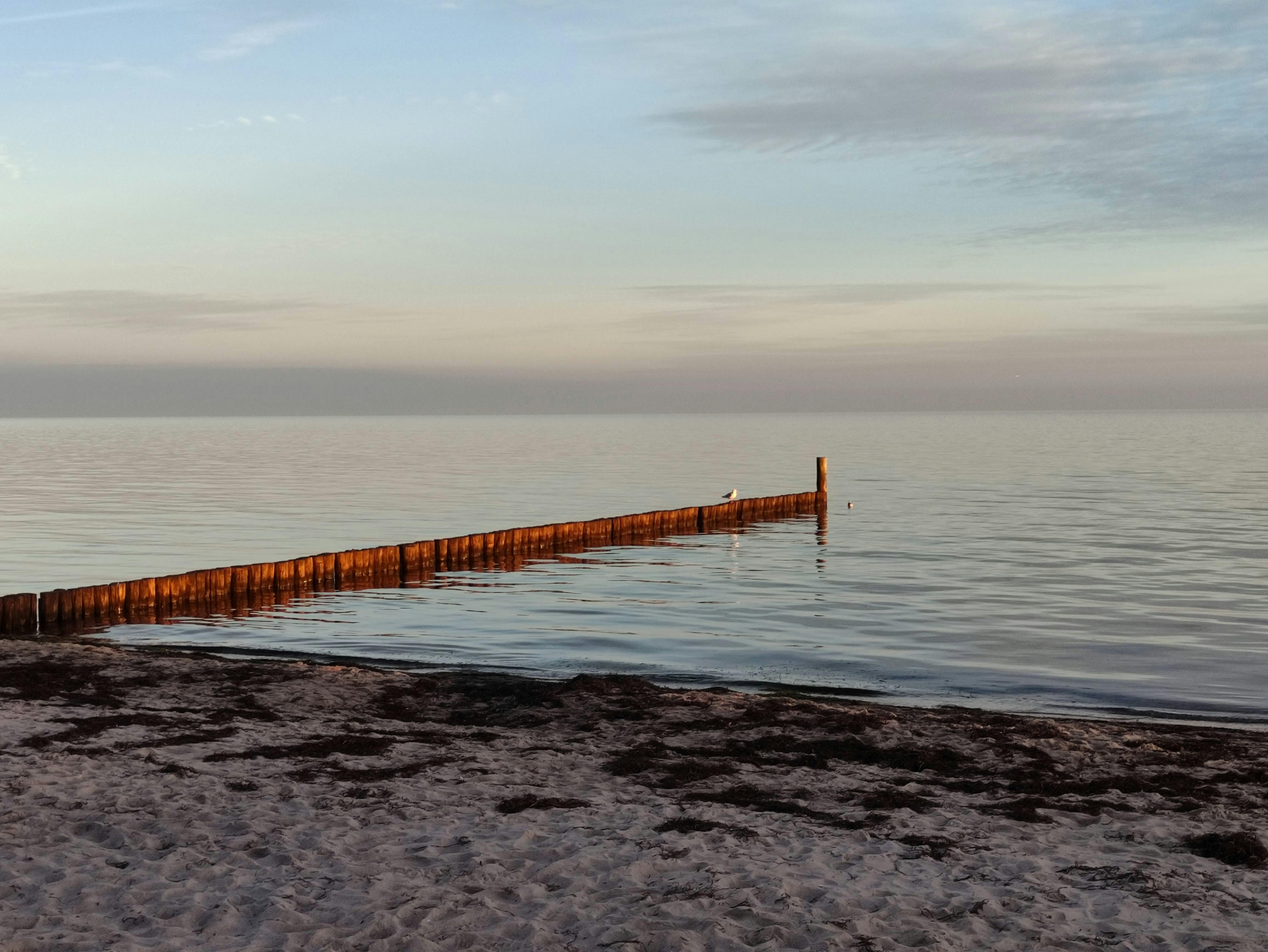 A Calm Sea in the Evening · Free Stock Photo