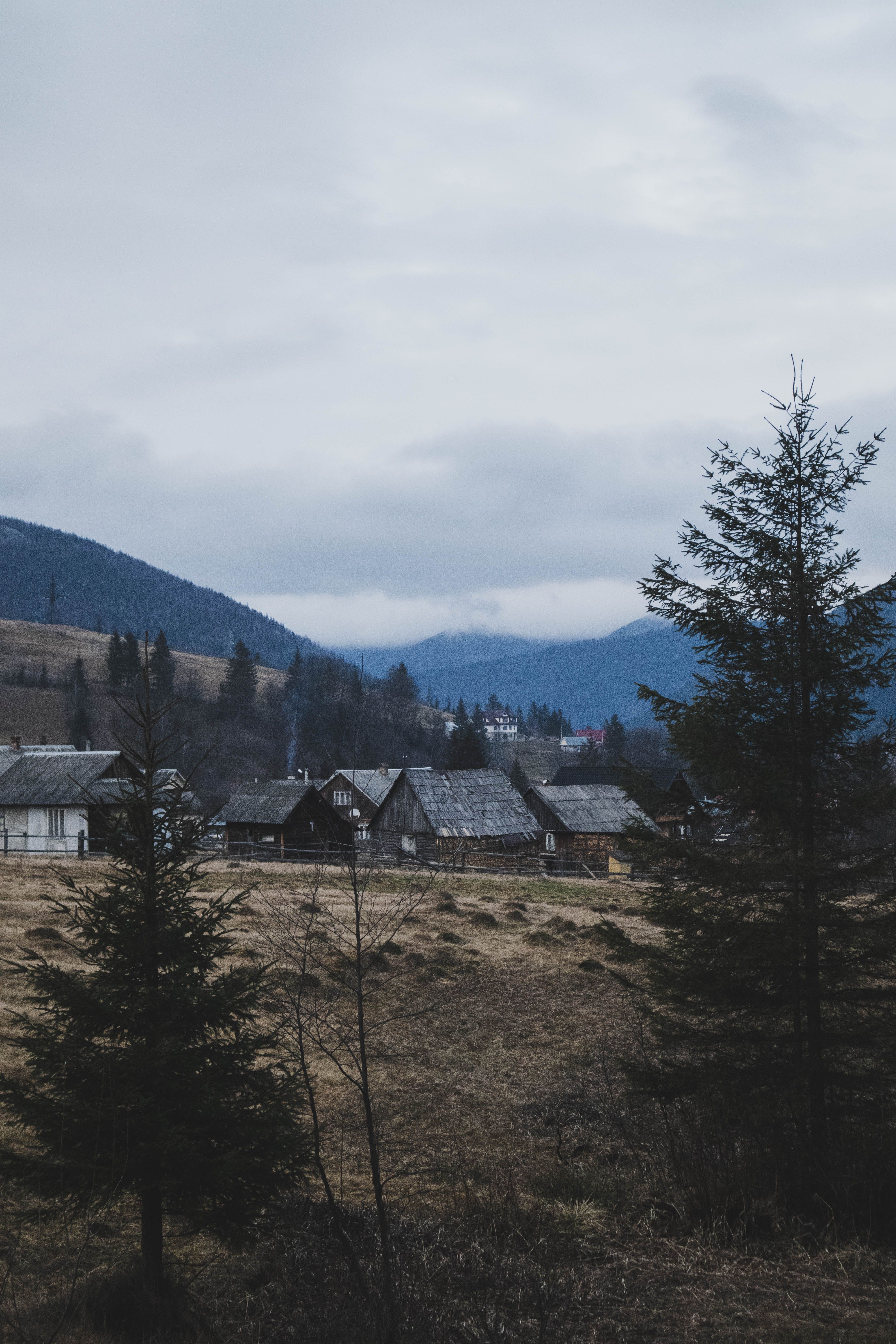 Trees and Village in Countryside · Free Stock Photo