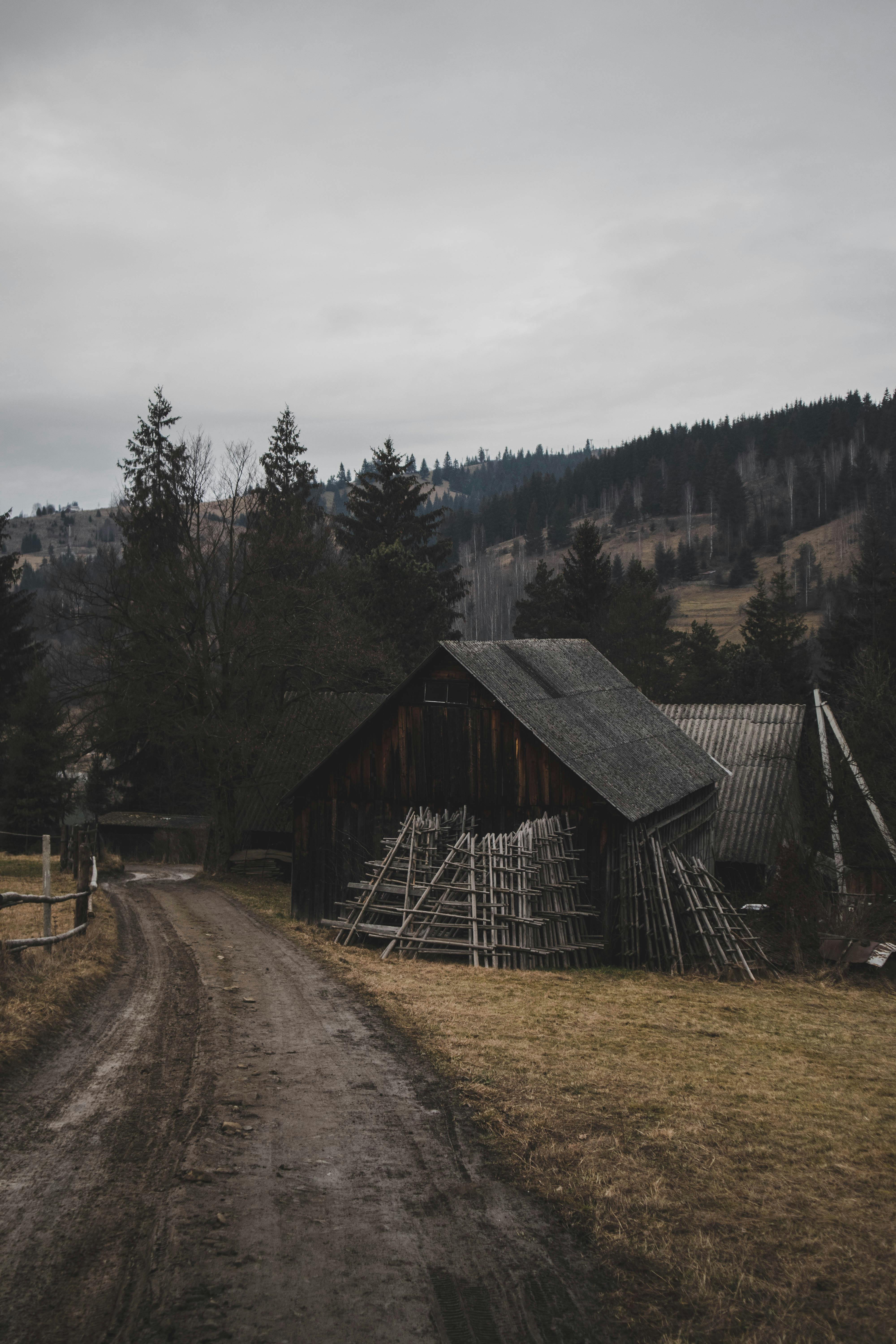 Widen Photos, Download The BEST Free Widen Stock Photos & HD Images