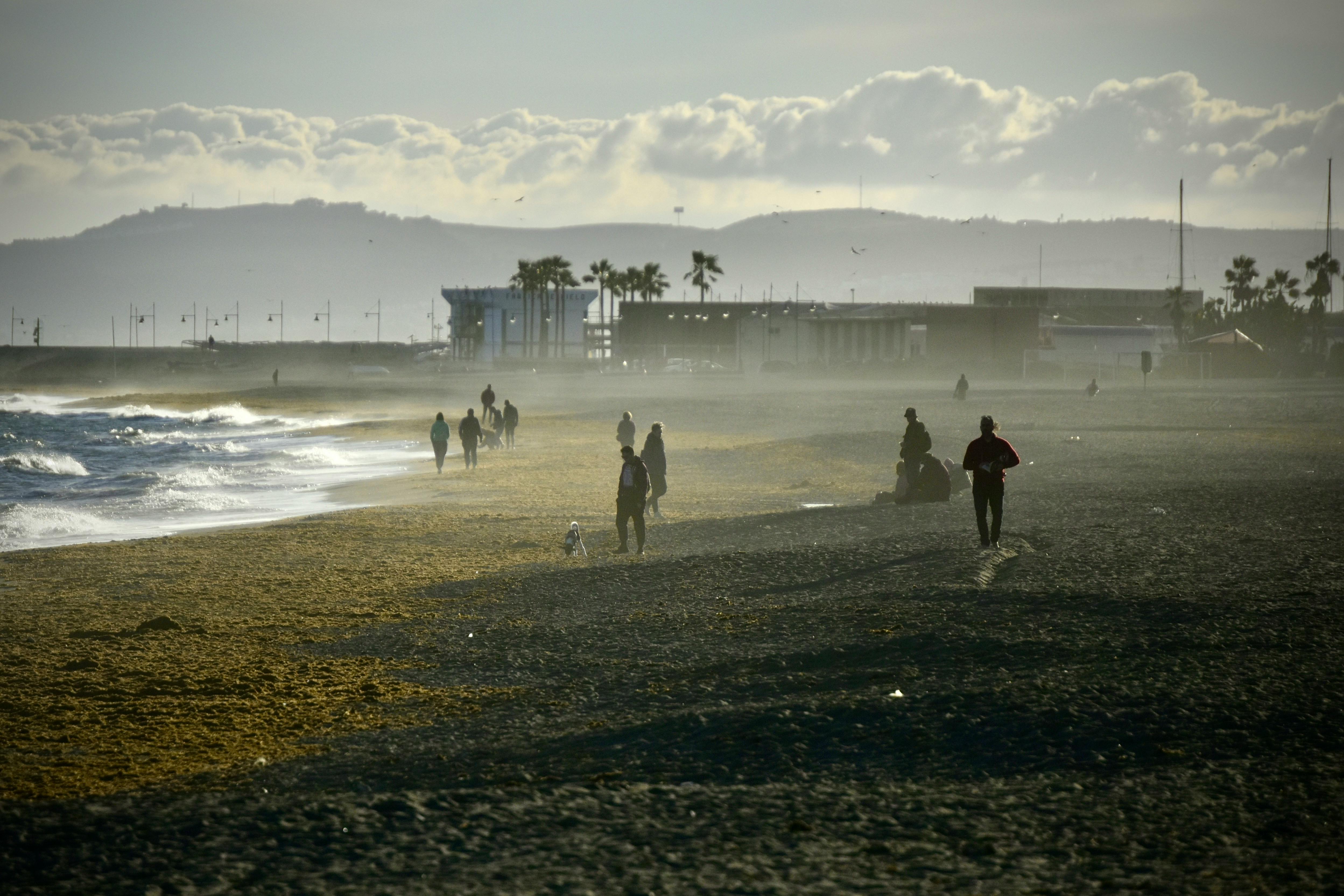 People Walking on the Beach · Free Stock Photo